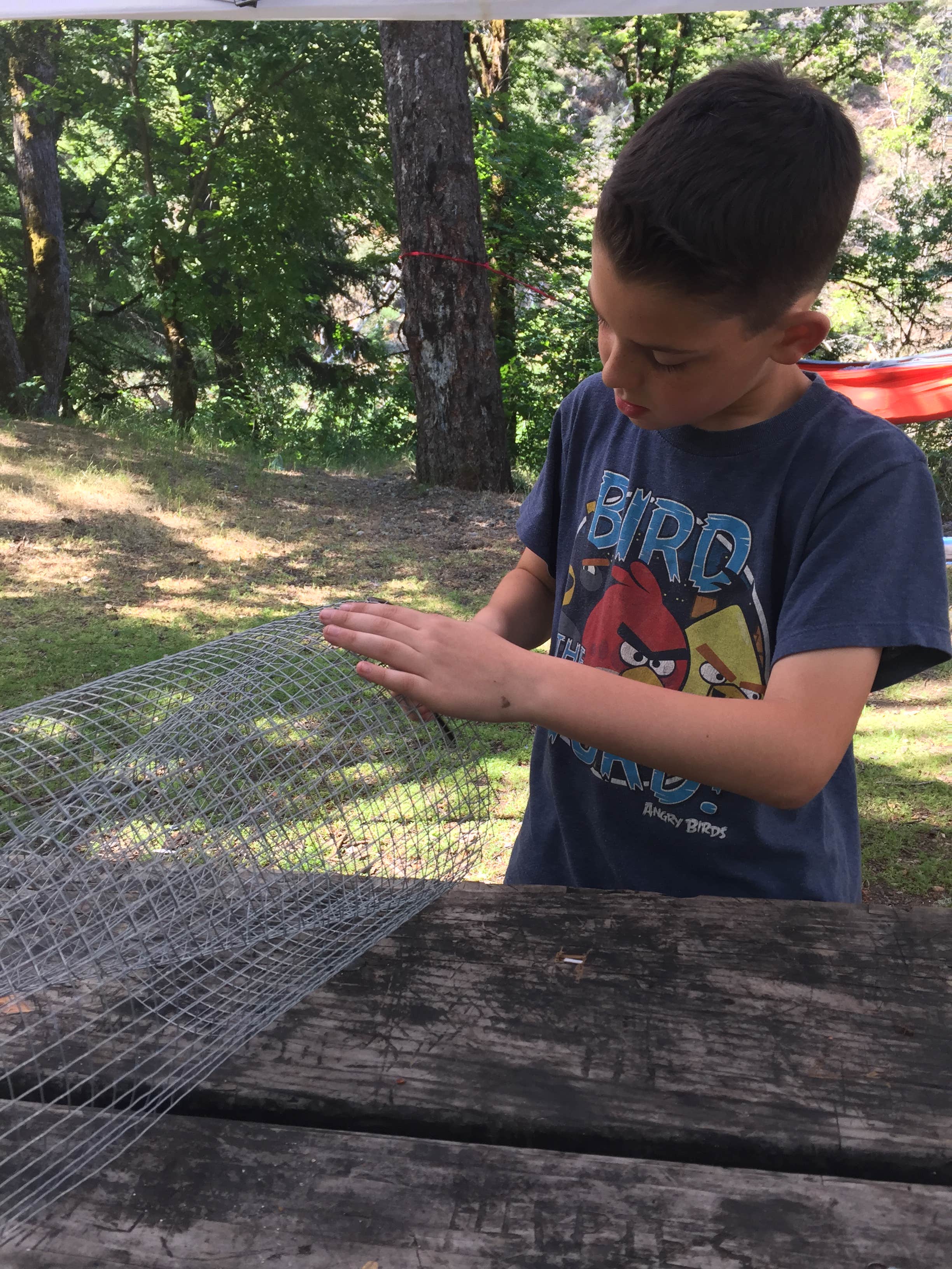 Store Gulch Campground | Selma, OR