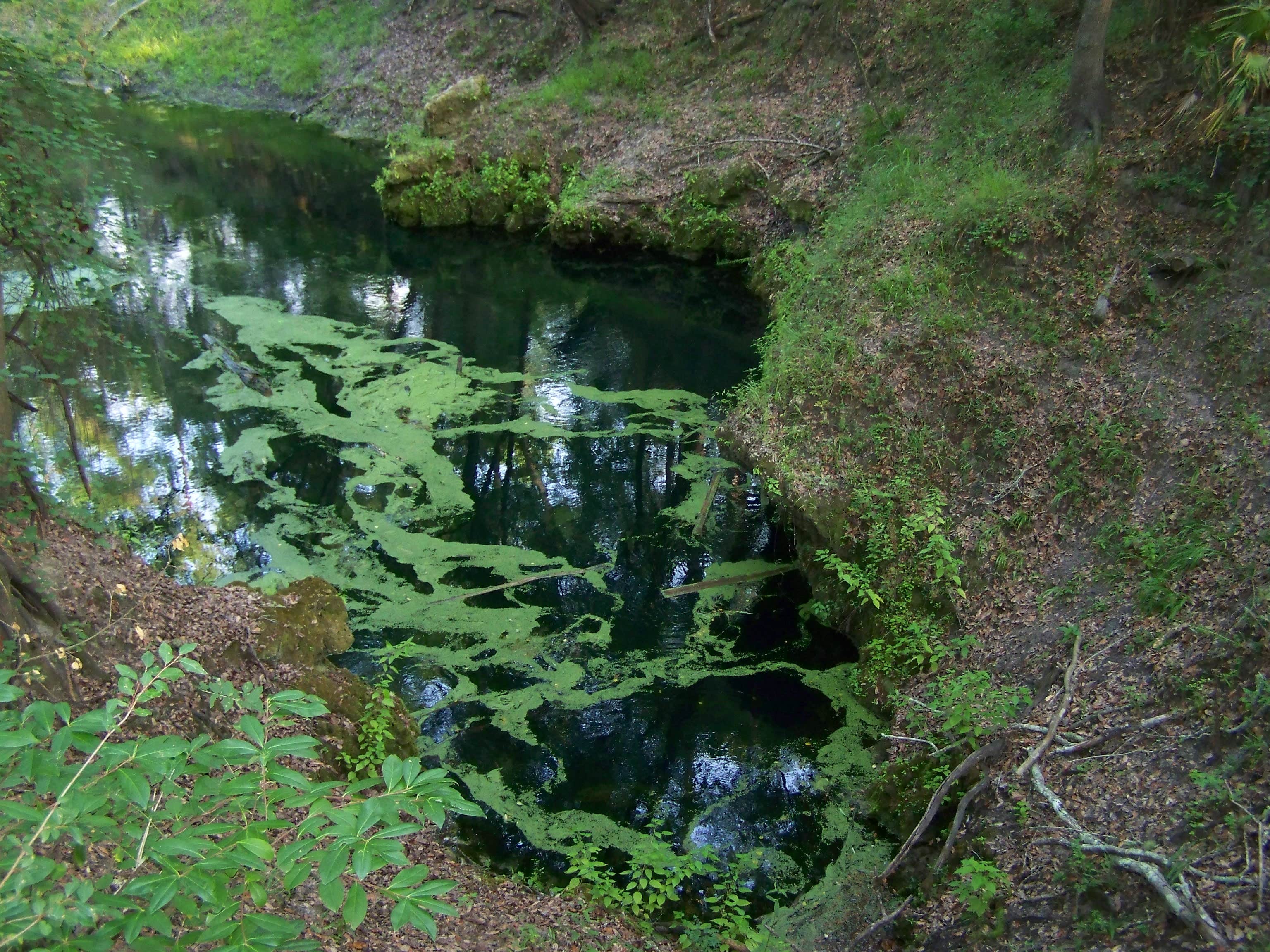 Lafayette Blue Springs State Park | The Dyrt