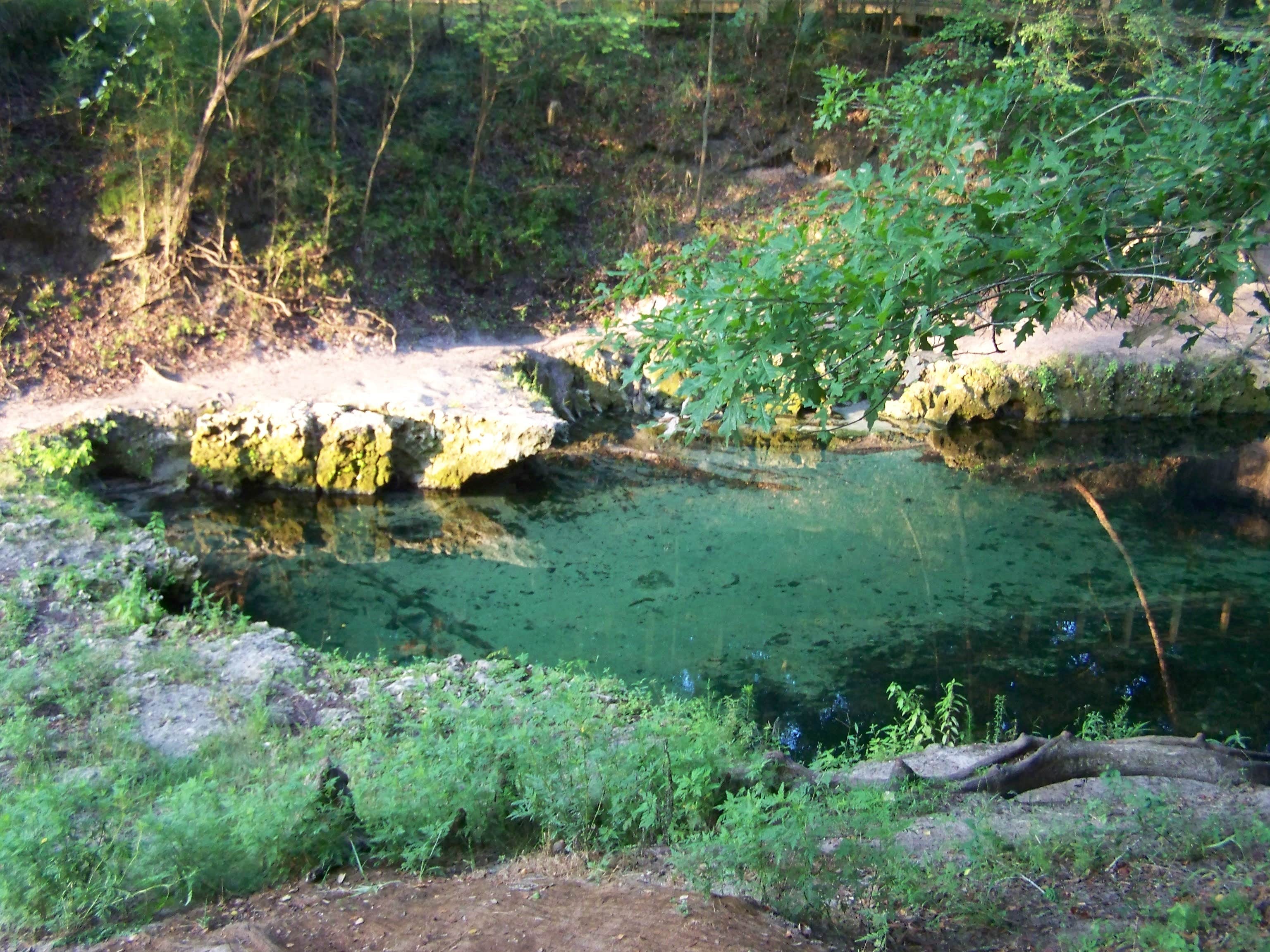 Lafayette Blue Springs State Park | The Dyrt