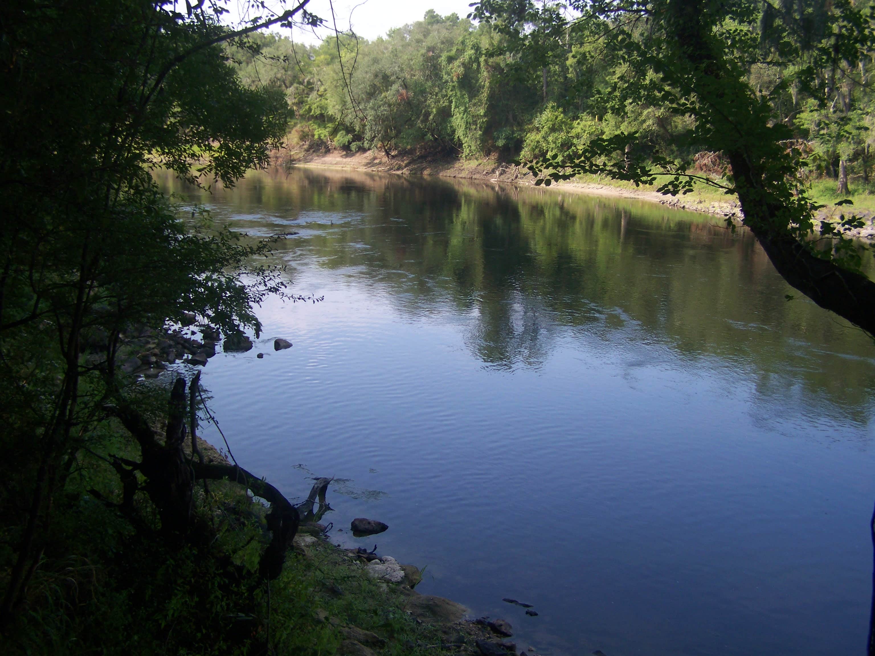 Peacock Slough River Camp — Suwannee River Wilderness Trail | Mayo, FL