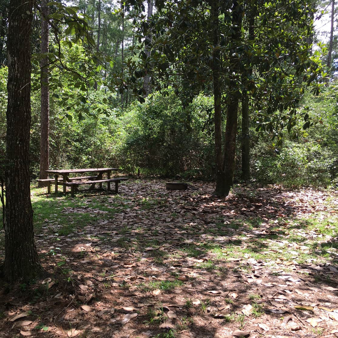 Blakeley State Park Camping | The Dyrt