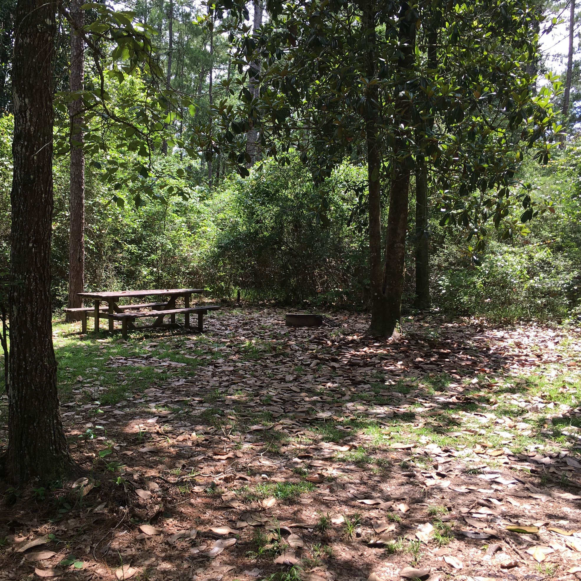 Blakeley State Park Camping | The Dyrt