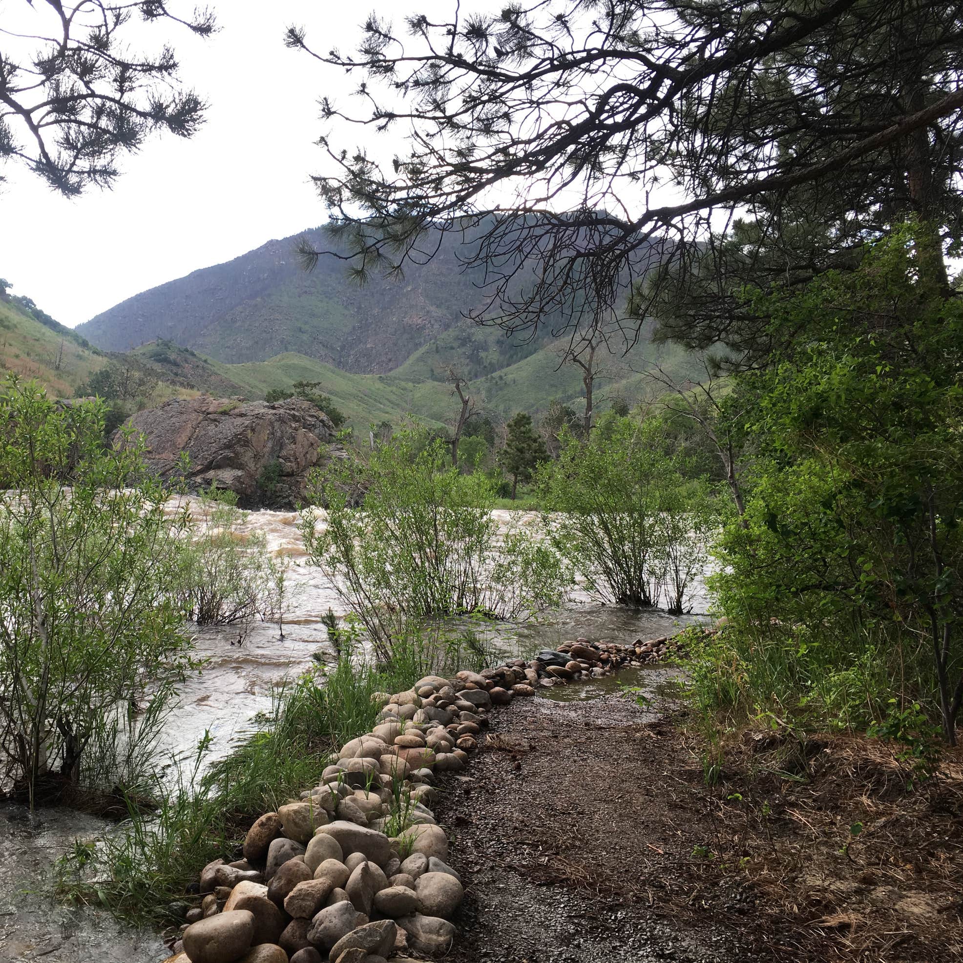 Stove Prairie Camping | The Dyrt