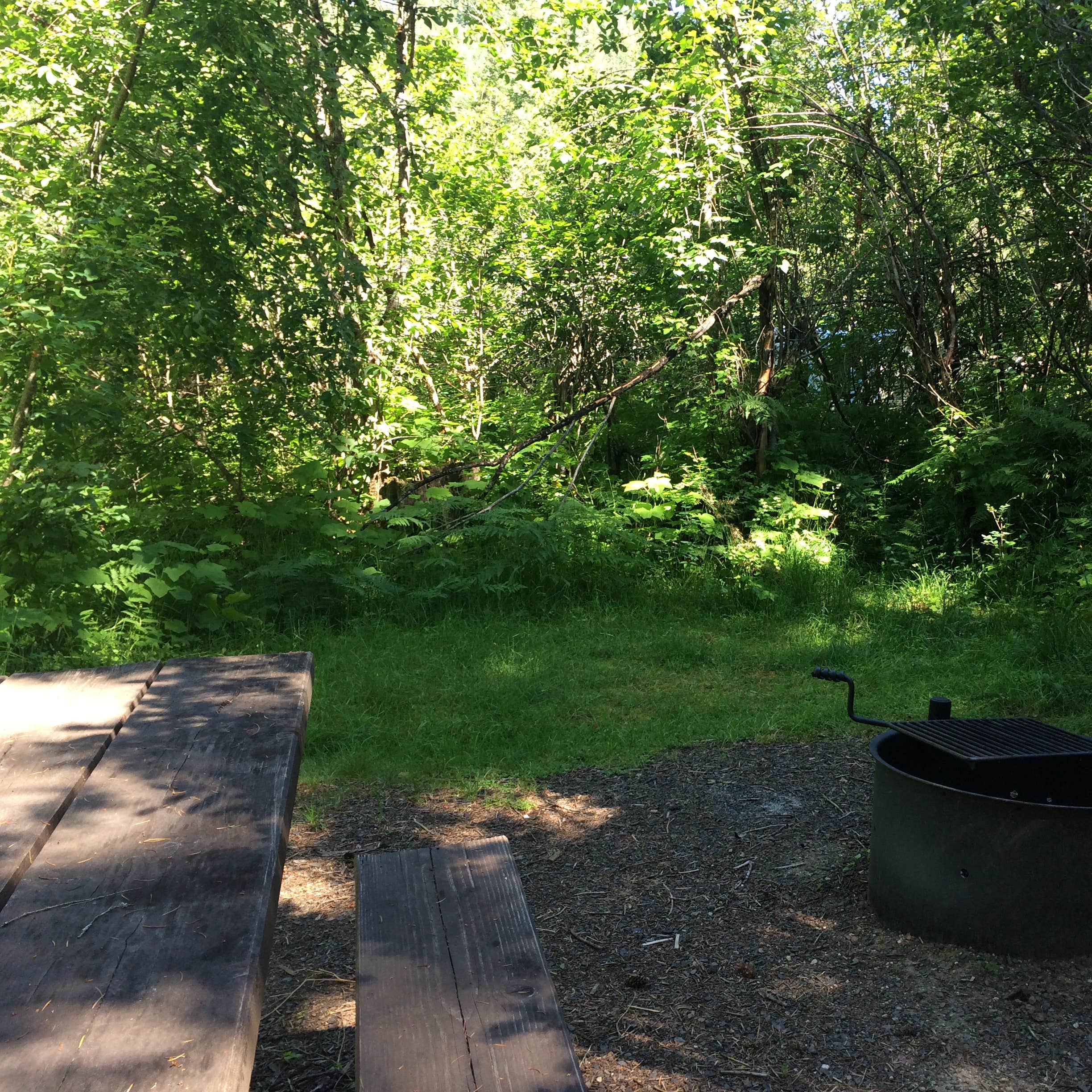 Wilderness Gateway Camping | The Dyrt