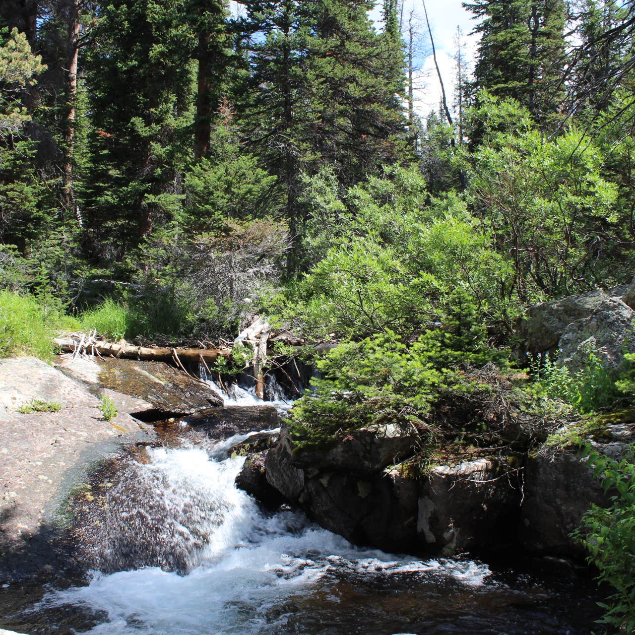 Beartooth Lake Camping | The Dyrt