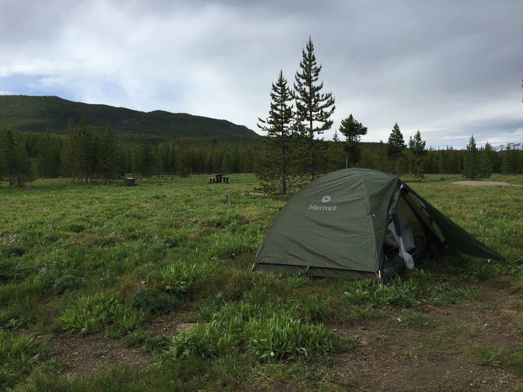 Sheffield Campground | Moran, WY