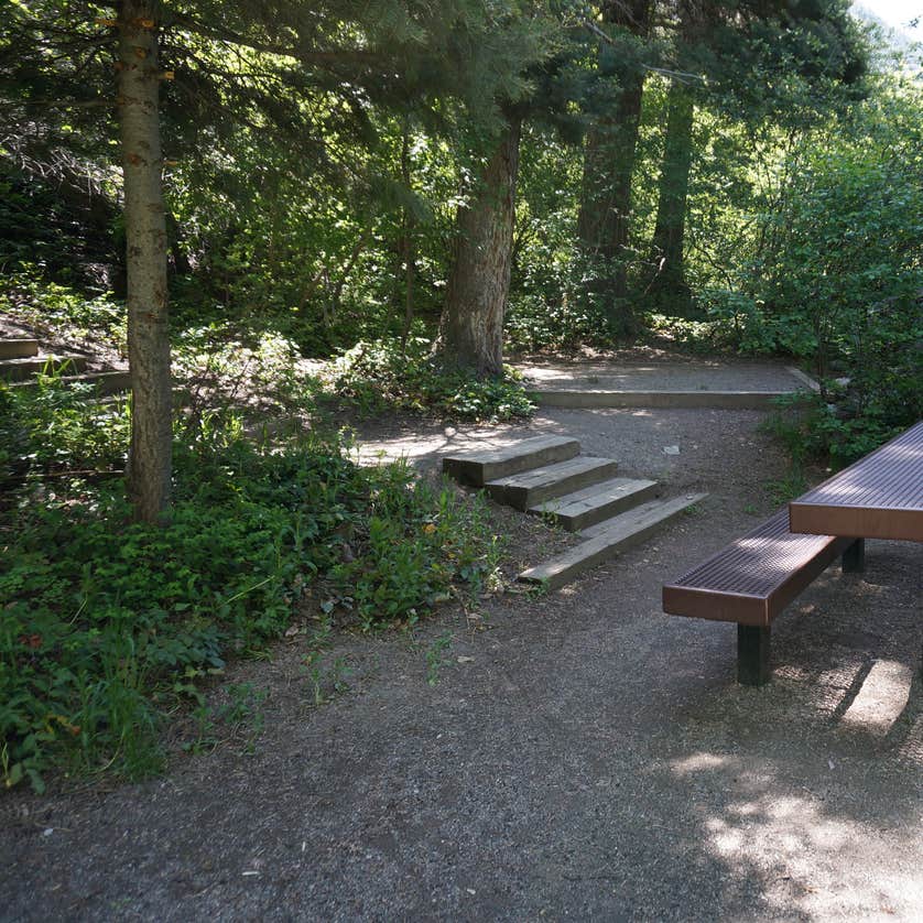 Amphitheater Campground Camping | The Dyrt