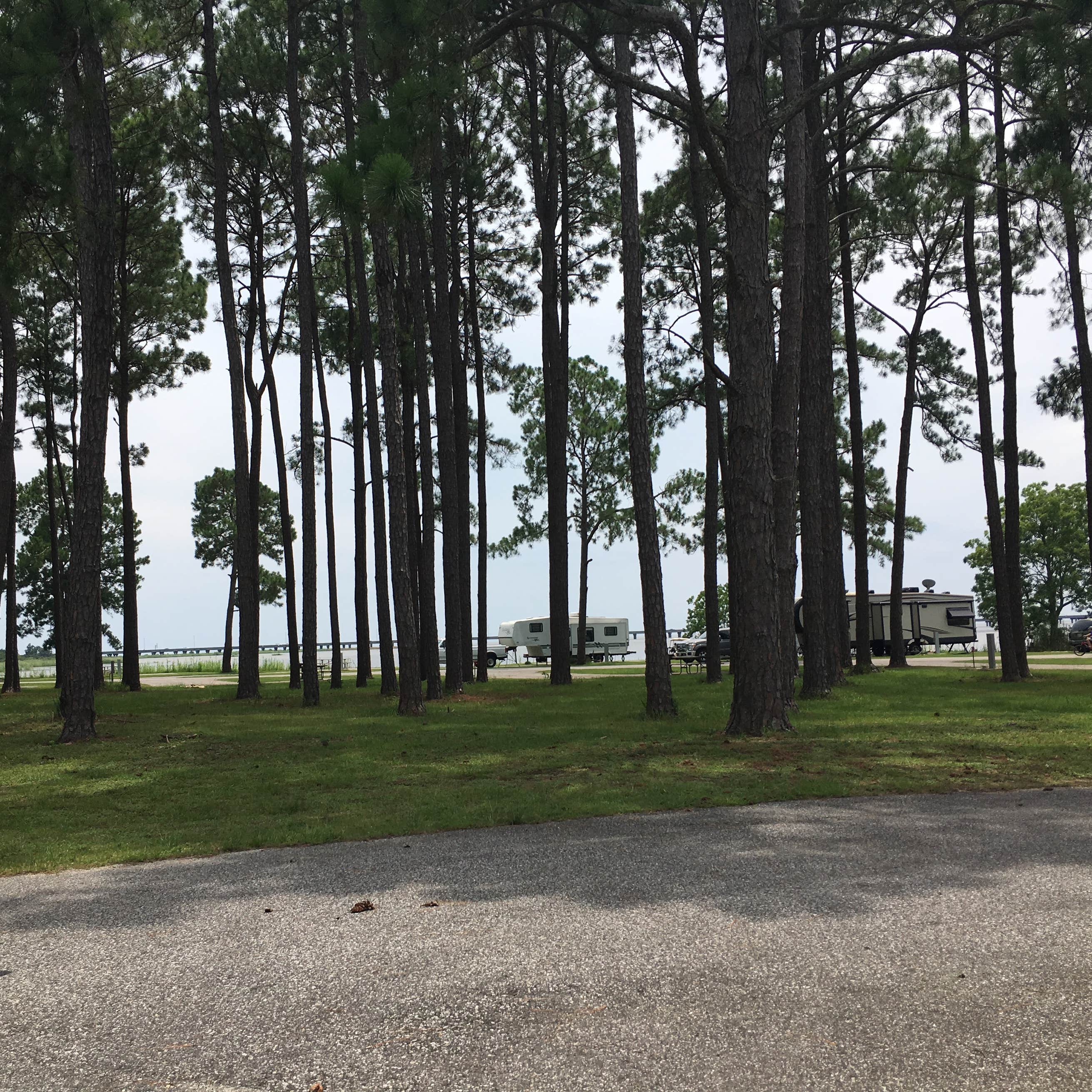 Meaher State Park Camping | The Dyrt