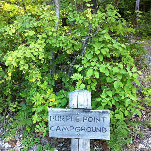 North Cascades NP - Purple Point Camping | The Dyrt