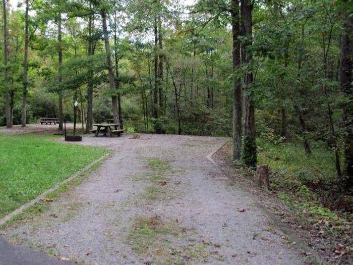 Chilhowee Recreation Area | Benton, TN