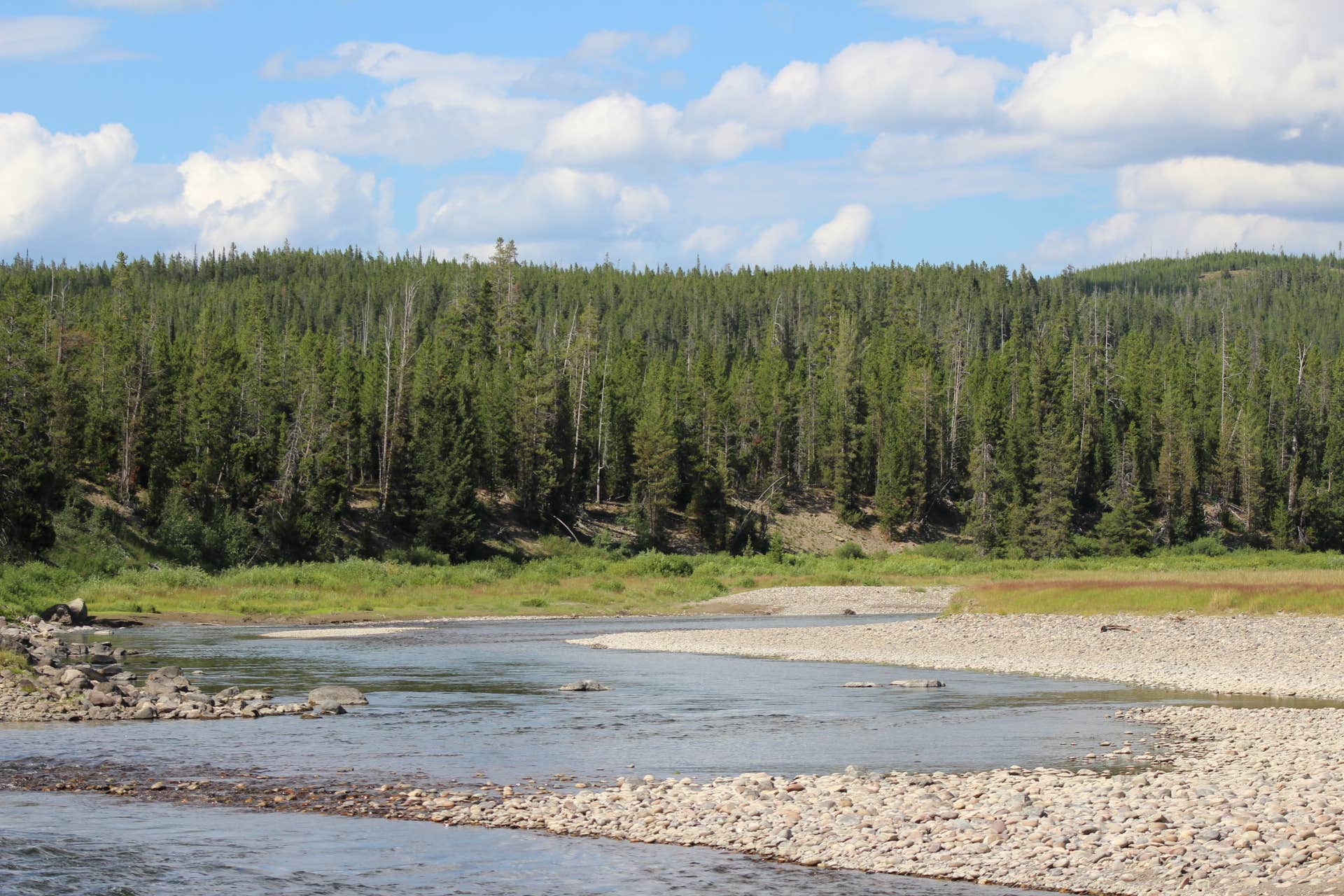 Sheffield Campground | Moran, WY