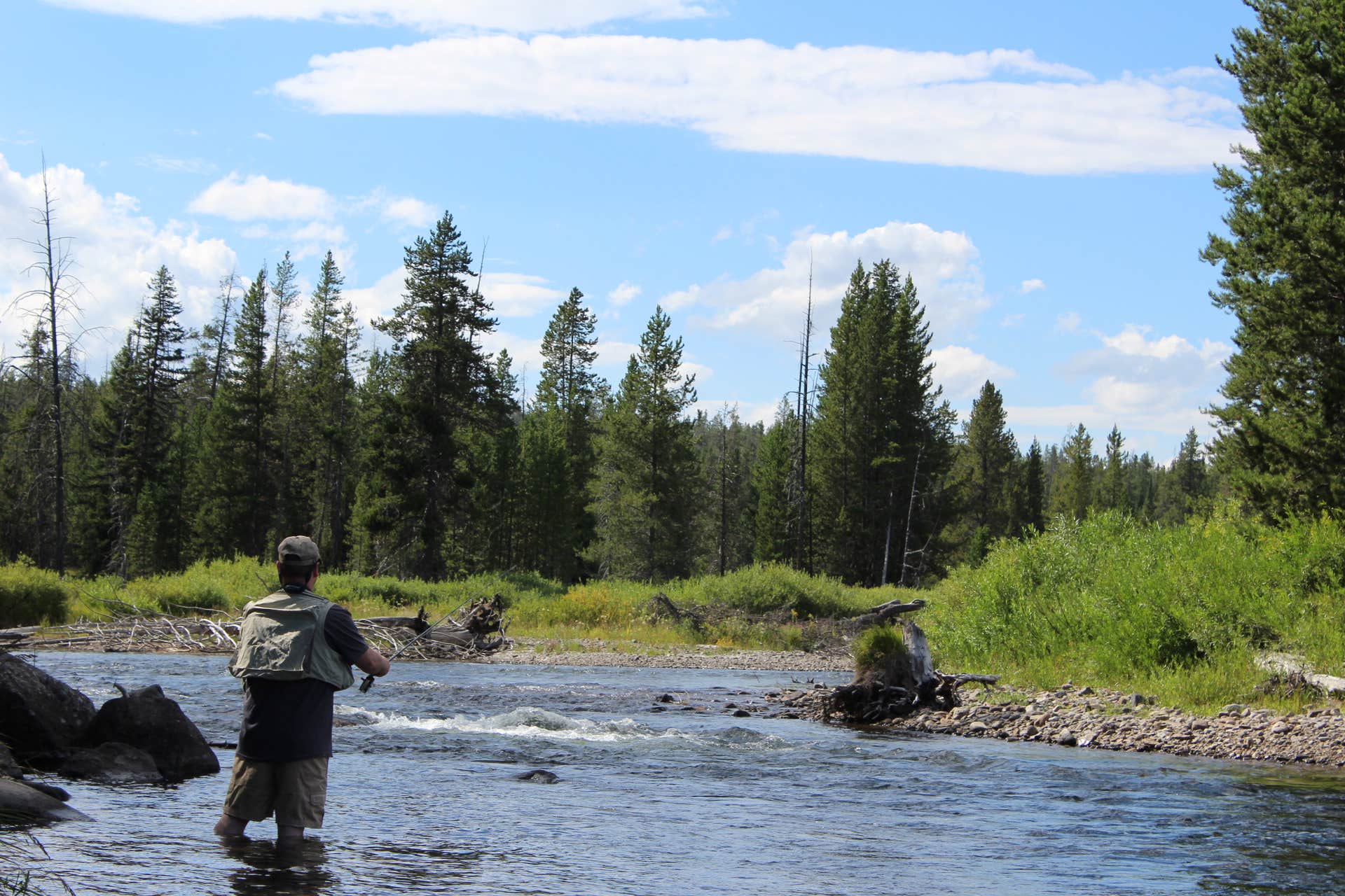 Sheffield Campground | Moran, WY