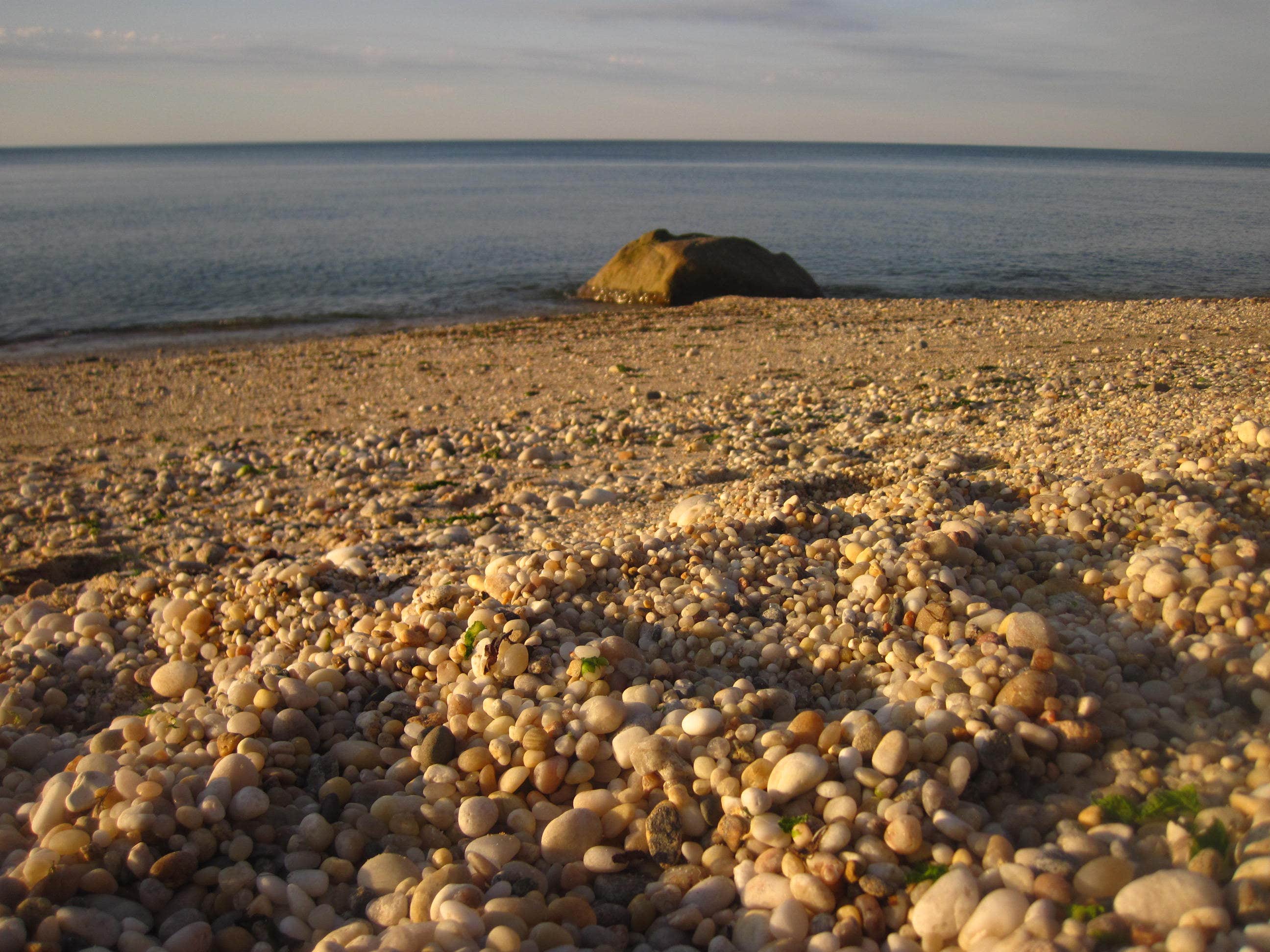 Wildwood State Park Campground | Wading River, New York