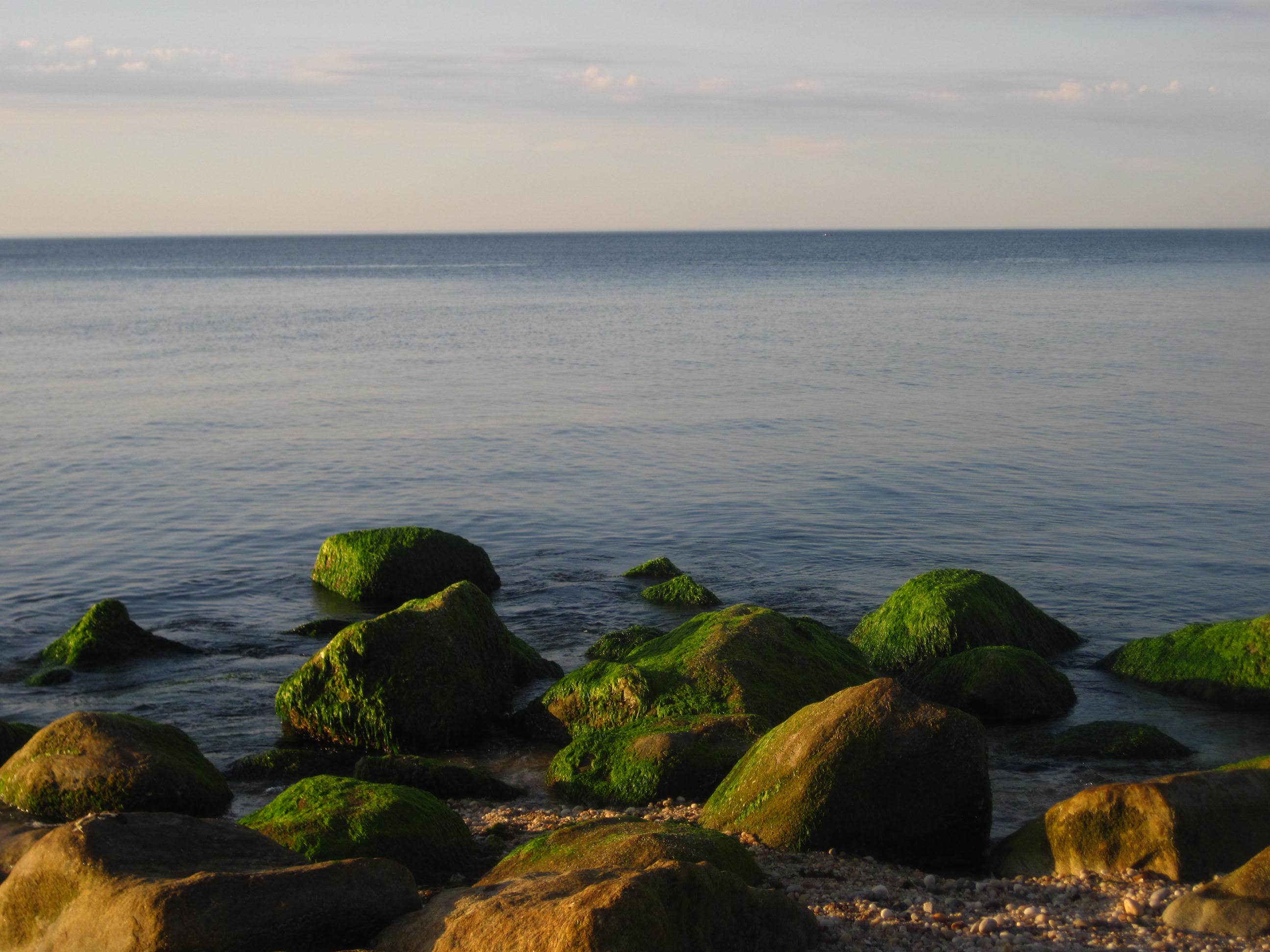 Wildwood State Park Campground | Wading River, New York