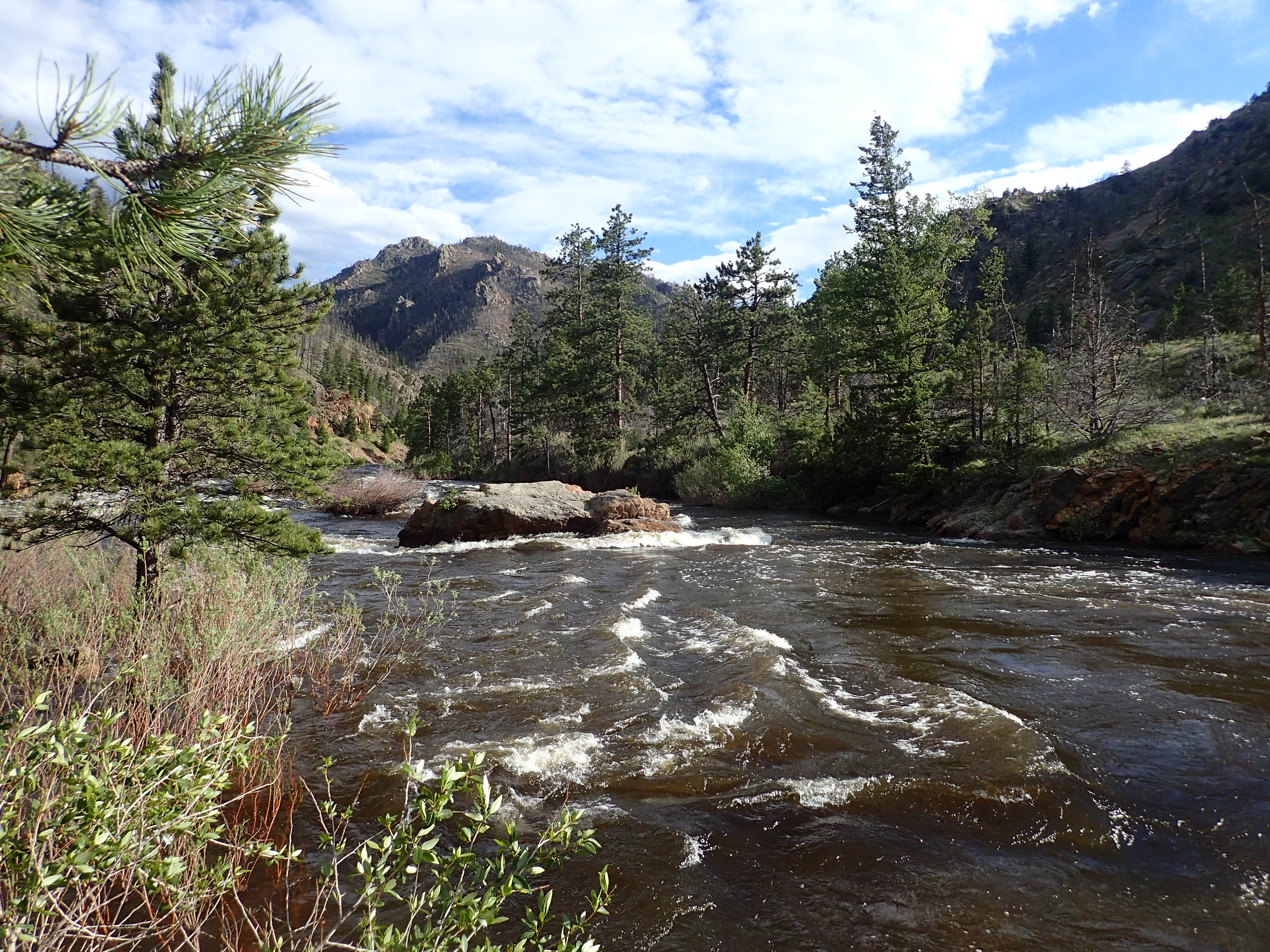Upper and Lower Ansel Watrous Campgrounds | Larimer, CO