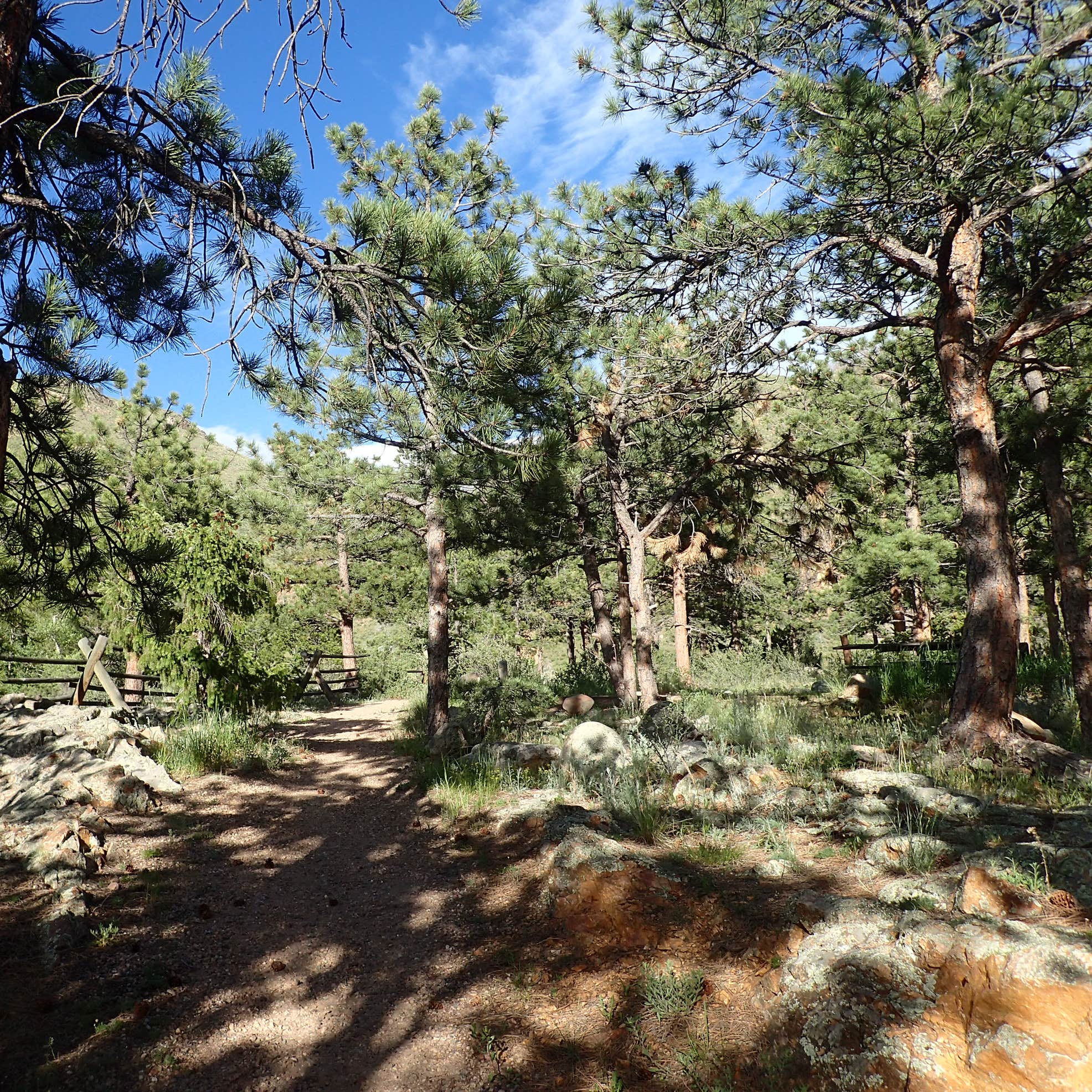 Upper and Lower Ansel Watrous Campgrounds Camping | The Dyrt