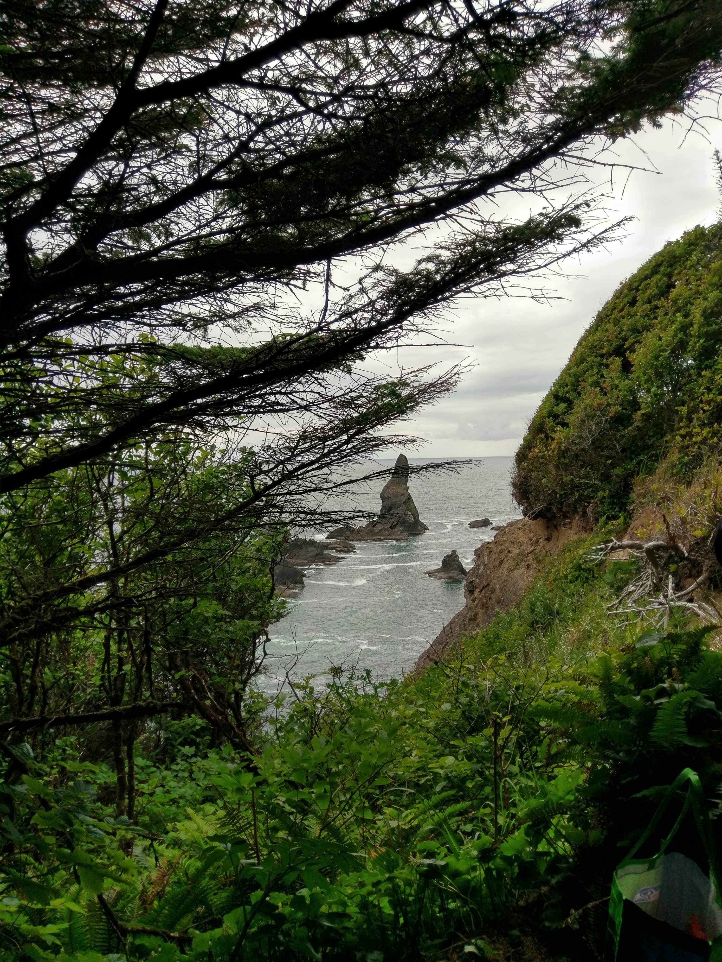 Shi Shi Beach — Olympic National Park Camping | Neah Bay, WA