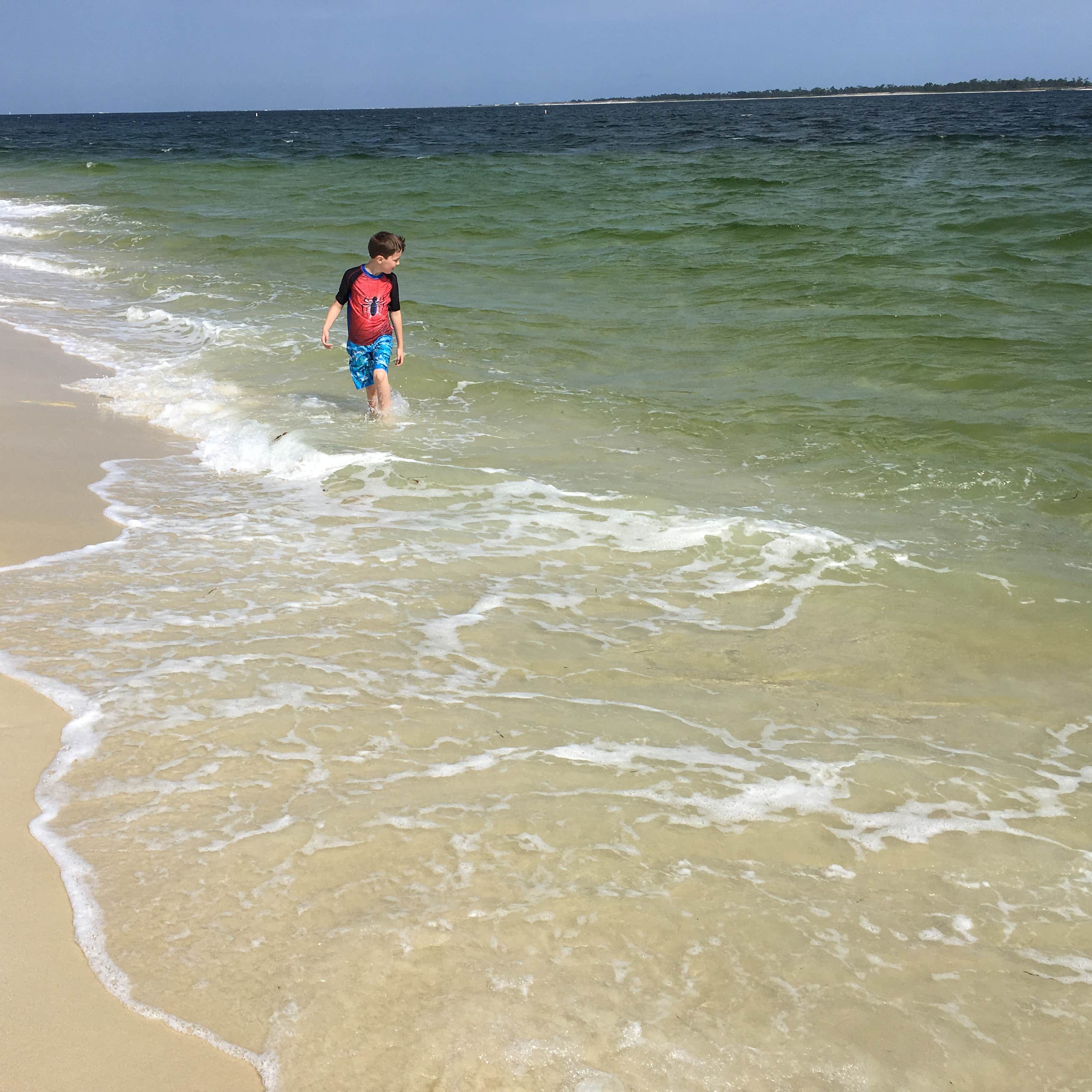 Blue Angel Park Camping | The Dyrt