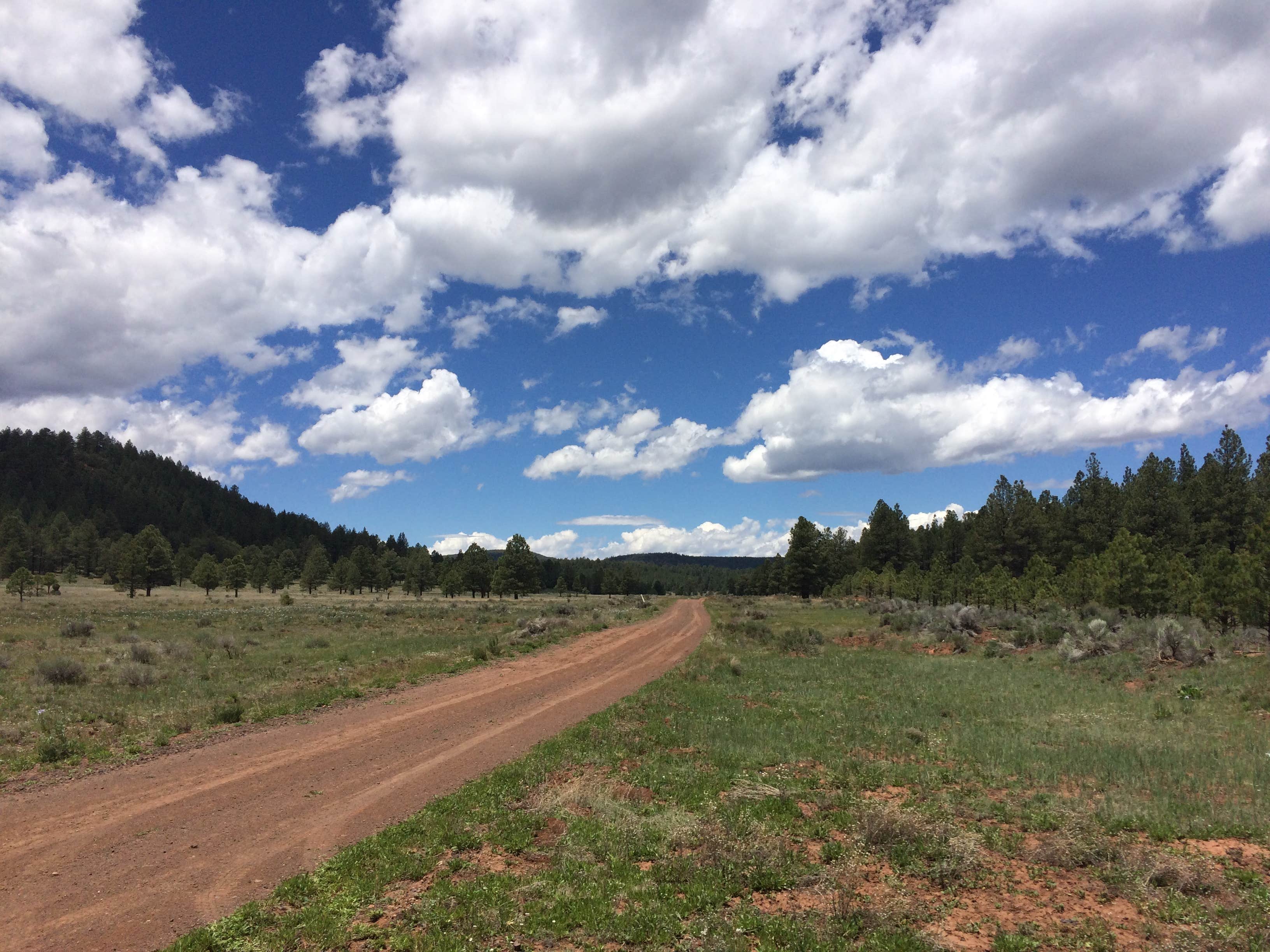 Quaking Aspen Campground | Fort Wingate, New Mexico
