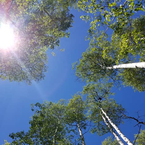 Frazer Meadow Campground — Golden Gate Canyon | Black Hawk, Colorado