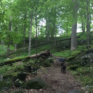 Diamond Caverns RV Resort & Golf Camping | The Dyrt