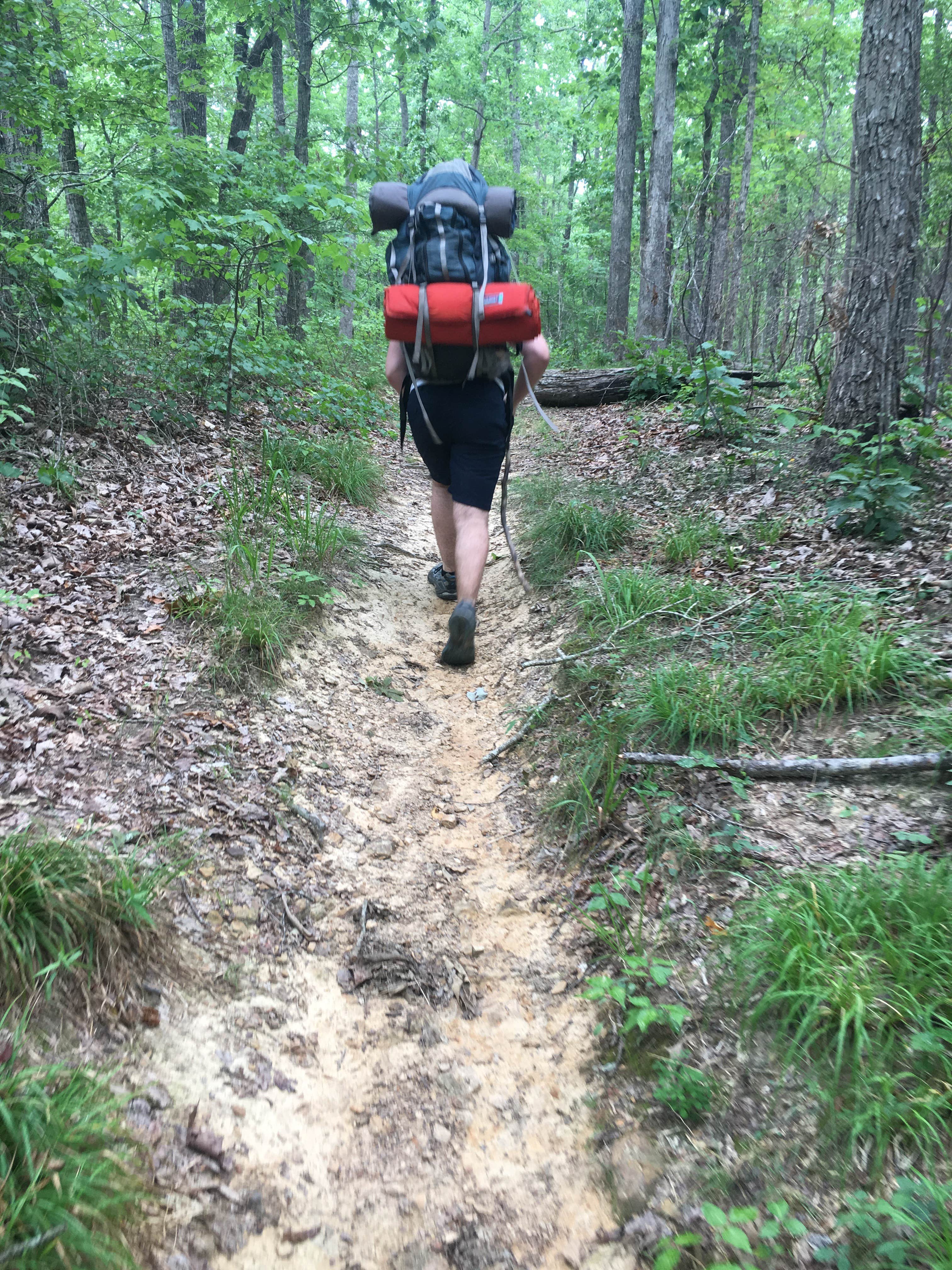 Wolf Pen Hunters Camp | Bankhead National Forest, AL