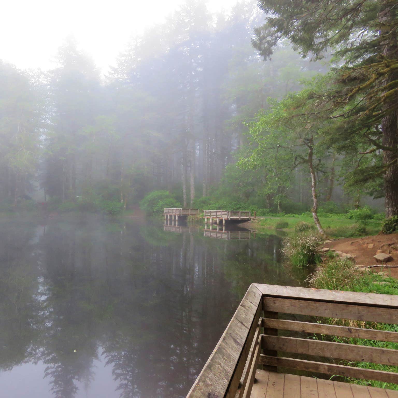 Hebo Lake Campground | Beaver, Oregon