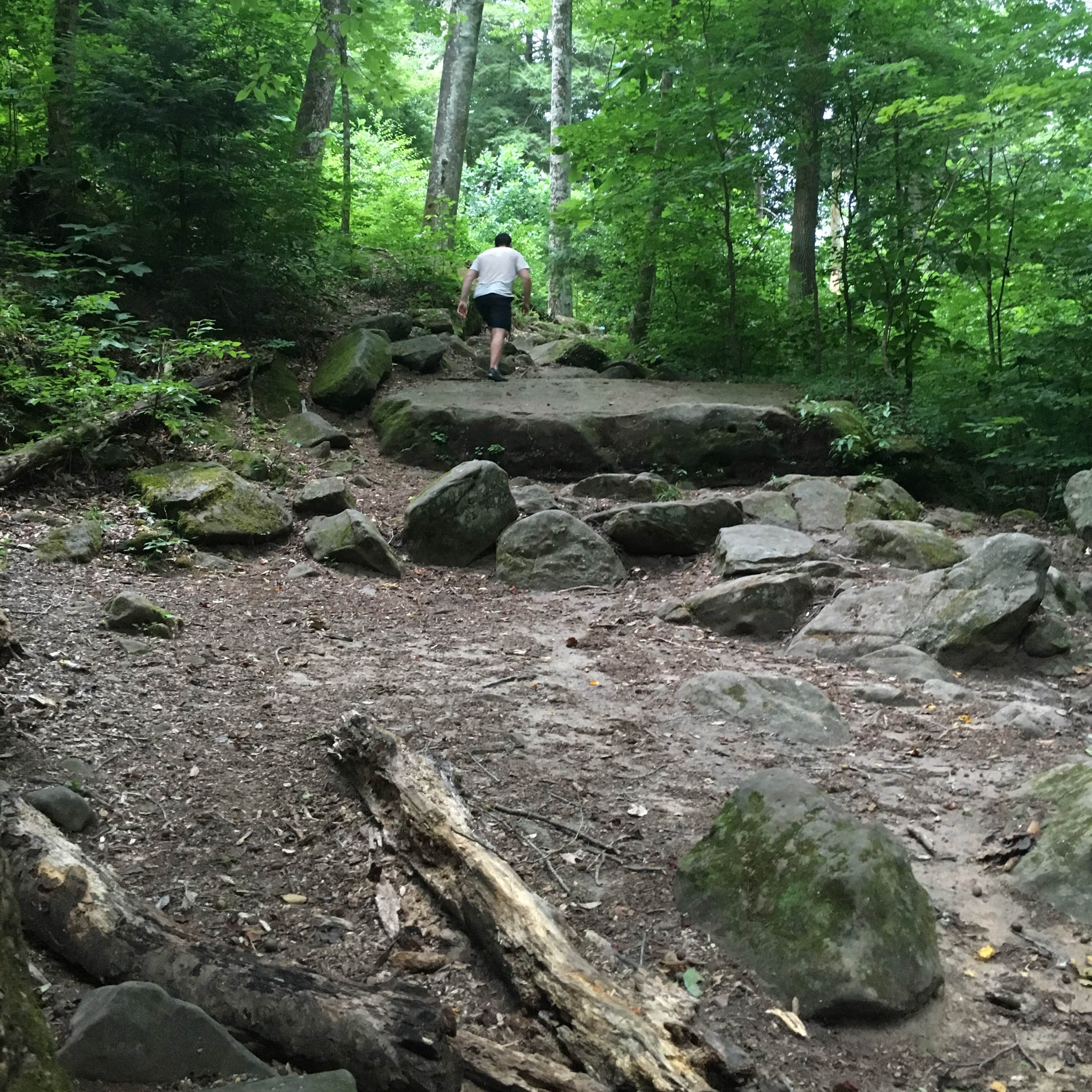 McDougle Hunt Camp | Bankhead National Forest, Alabama