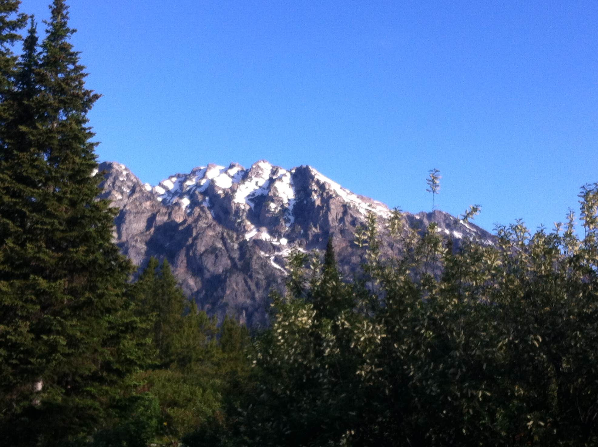 Headwaters Campground at Flagg Ranch Camping | The Dyrt