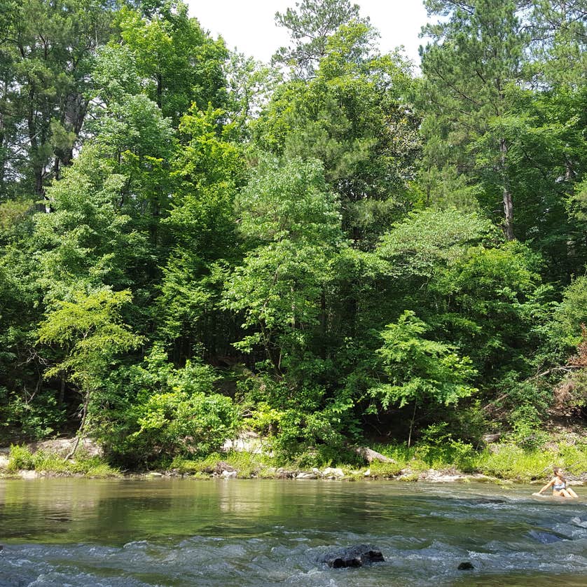 Kisatchie Bayou Complex Camping | The Dyrt