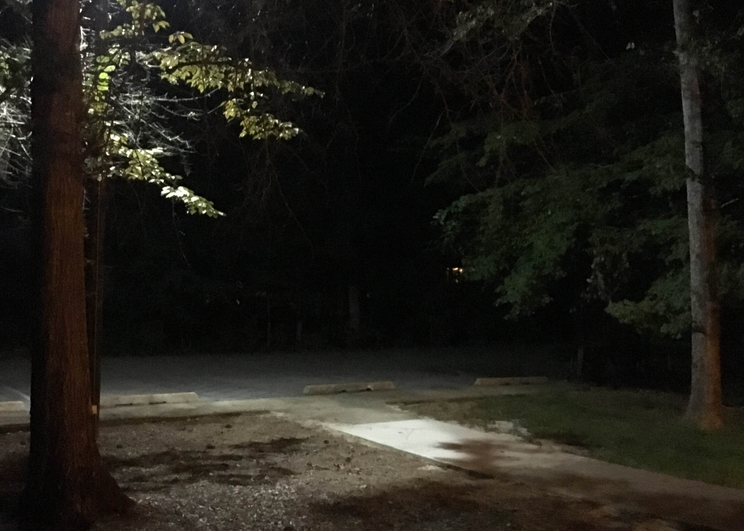 Holt Lake Camping | The Dyrt