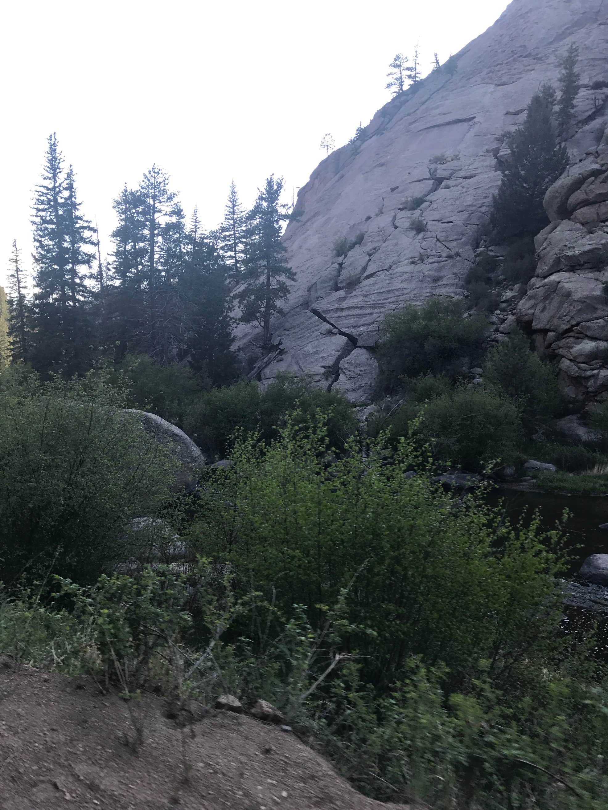 Springer Gulch Camping | The Dyrt