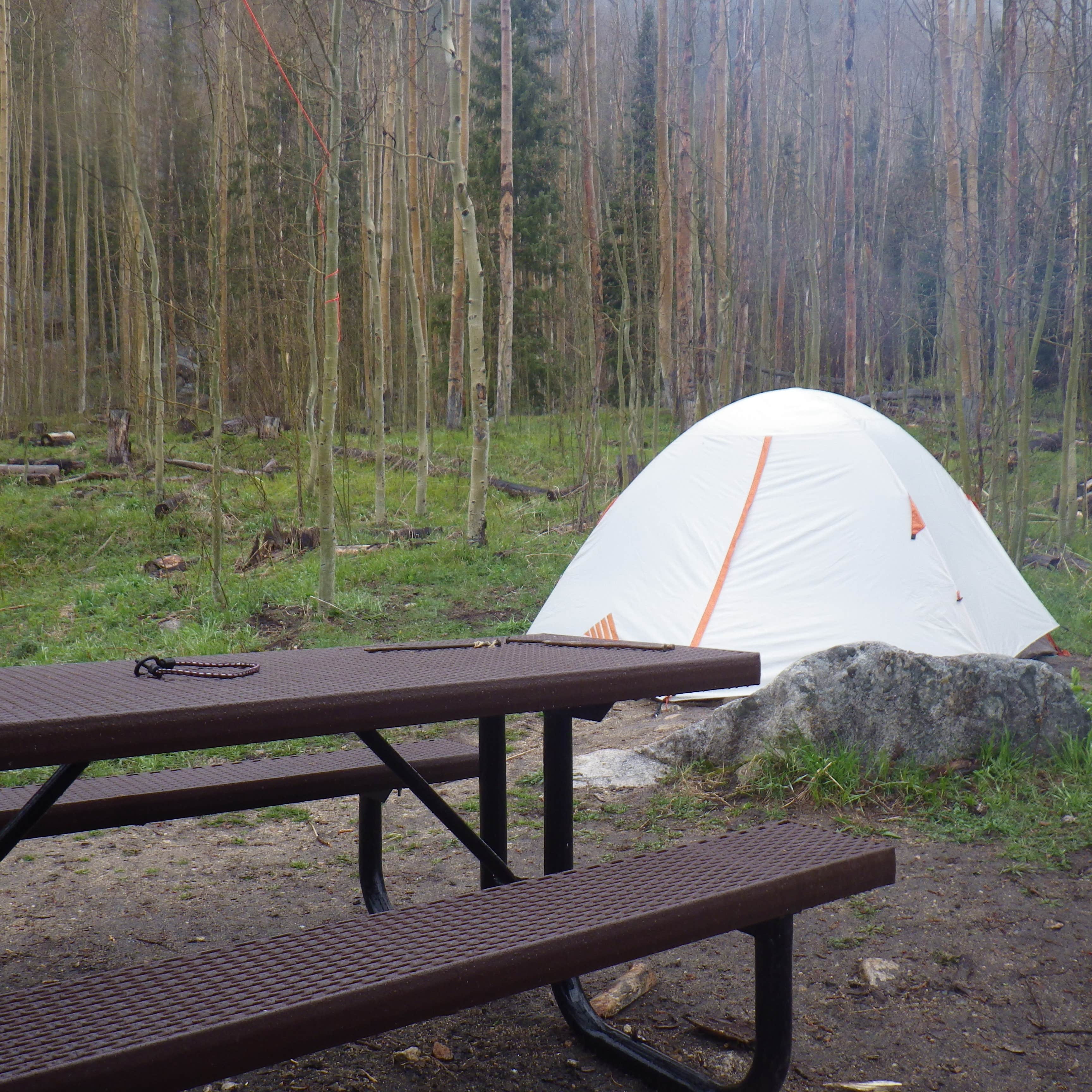 Weller Campground | Aspen, CO