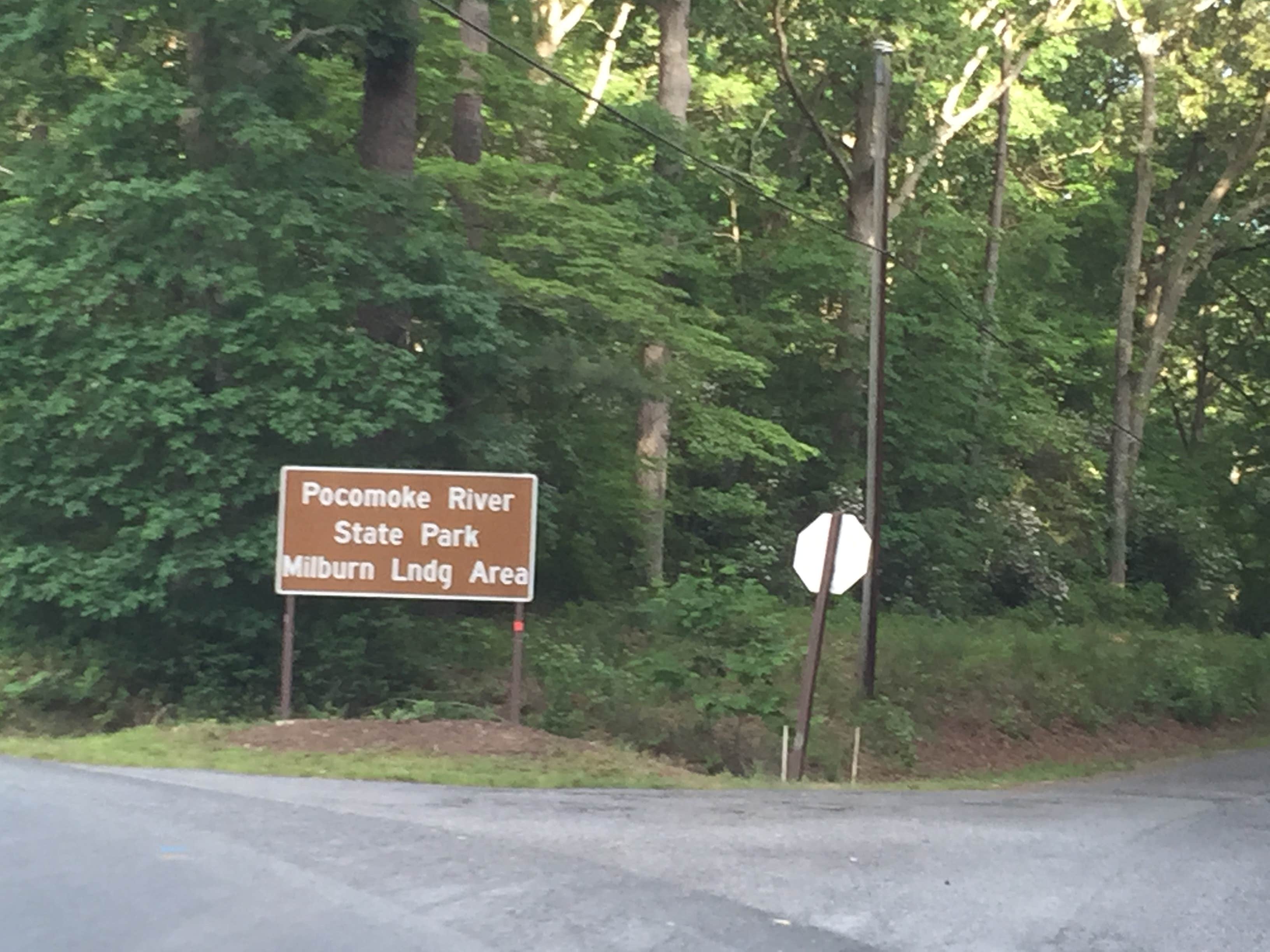 Pocomoke River State Park Campground | Girdletree, Maryland