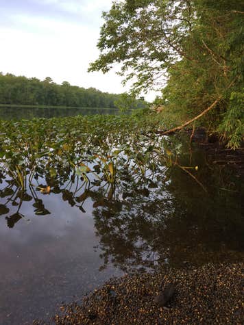 Pocomoke River State Park | The Dyrt