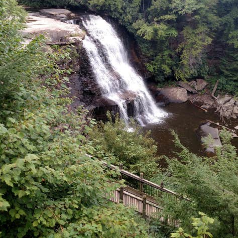 Swallow Falls State Park Camping | The Dyrt