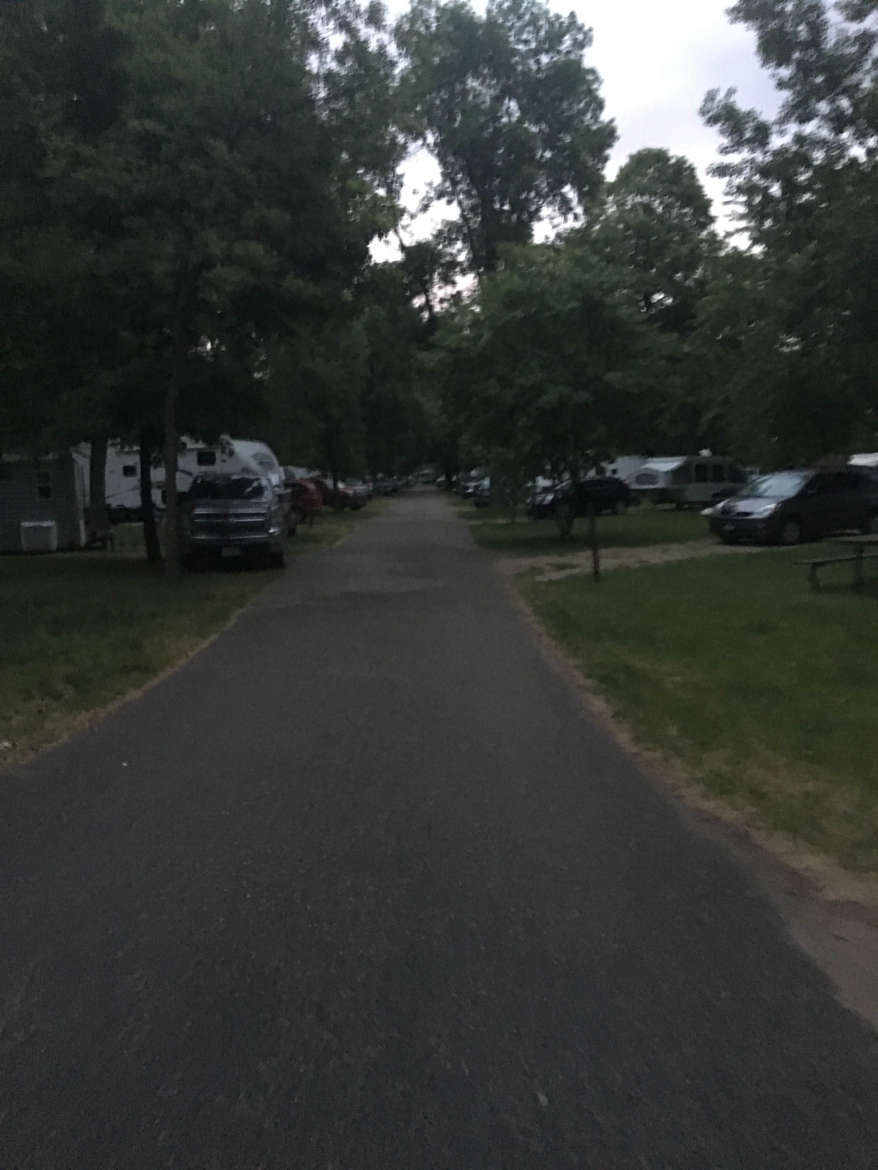 Lake Carlos State Park Campground | Carlos, Minnesota