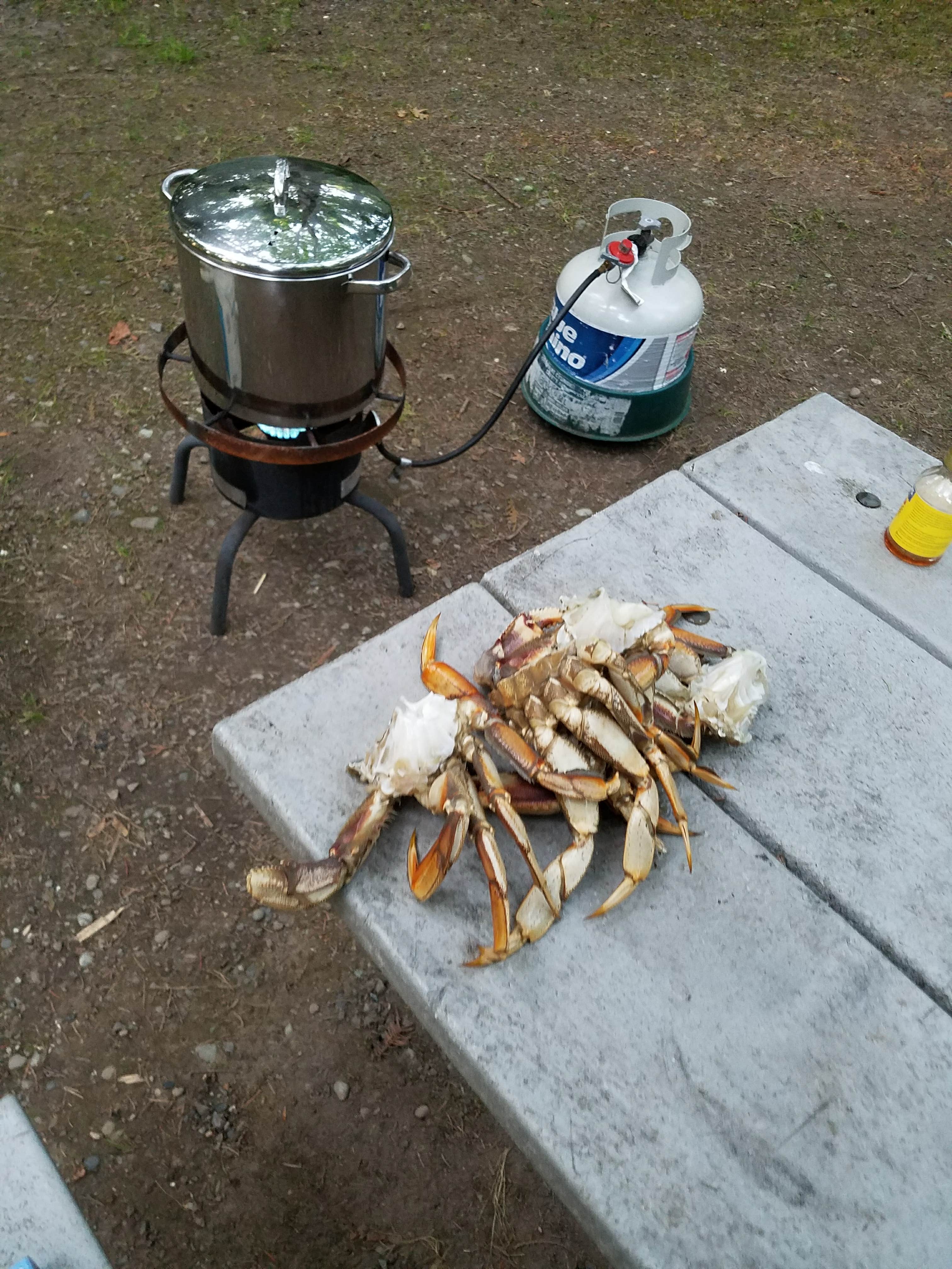 Kayak Point County Park Camping | Stanwood, Washington