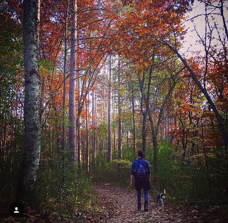 Afton State Park | The Dyrt