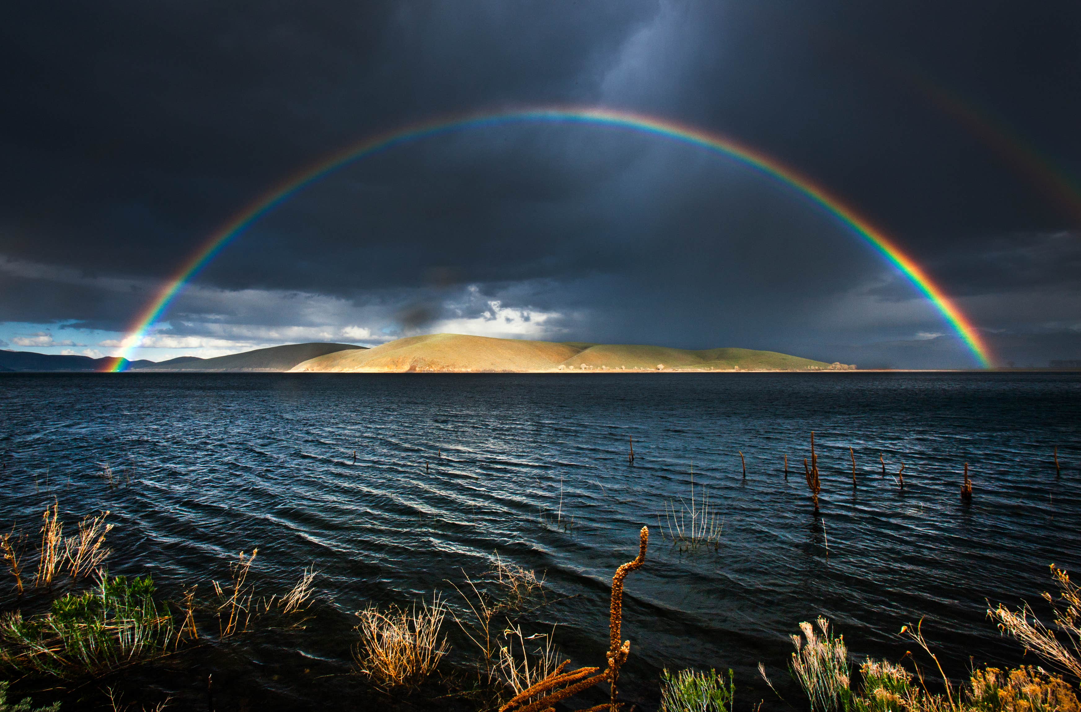 Topaz Lake Recreation Area Camping | The Dyrt