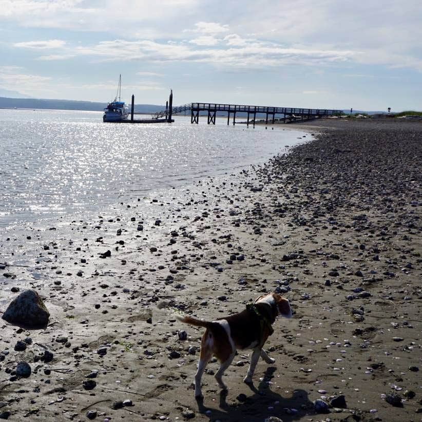 Fort Flagler State Park Camping | The Dyrt