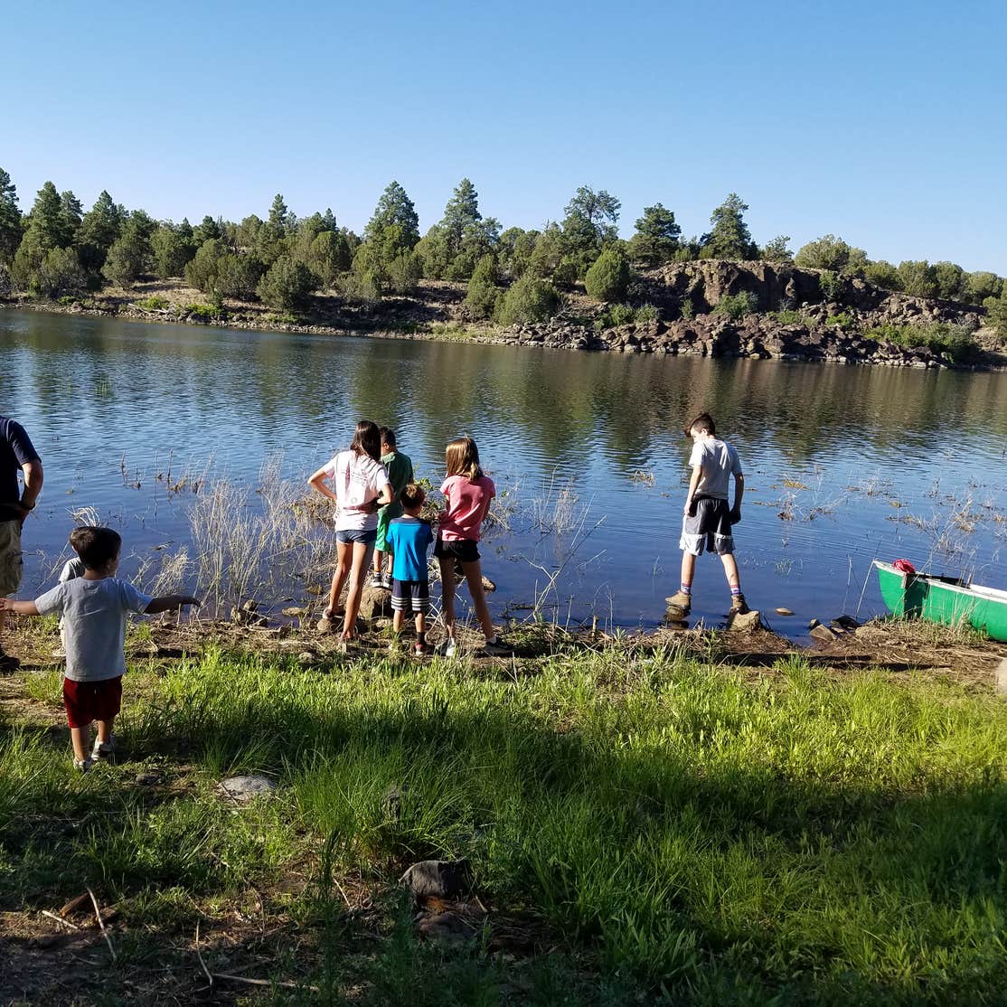 Fool Hollow Lake Recreation Area Campground Camping | The Dyrt