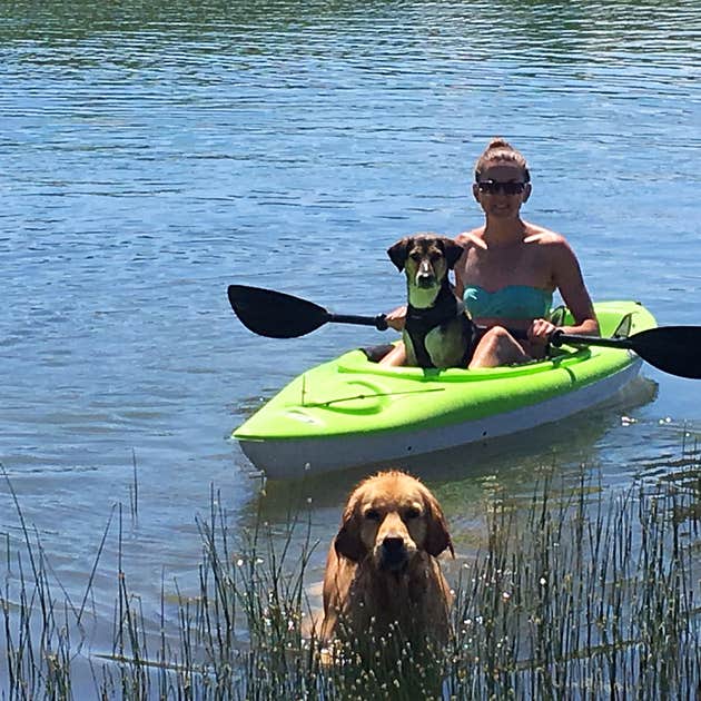 Gooseberry Reservoir Campground | Fairview, Utah