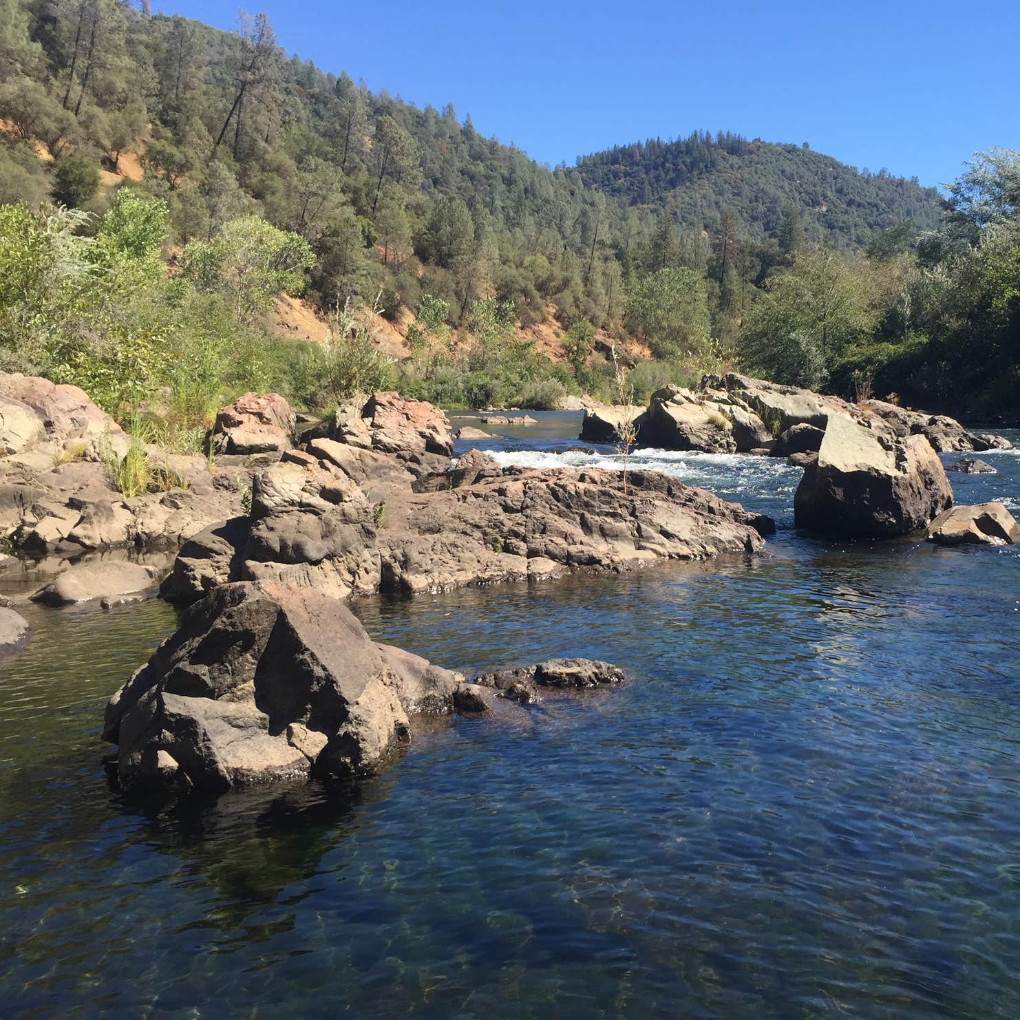 Ruck-A-Chucky - Auburn State Rec Area Camping | The Dyrt