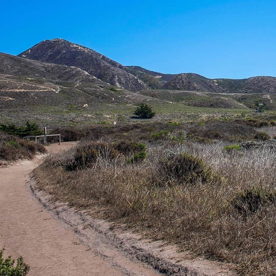 Islay Creek Campground - Montaña de Oro State Park Camping | The Dyrt