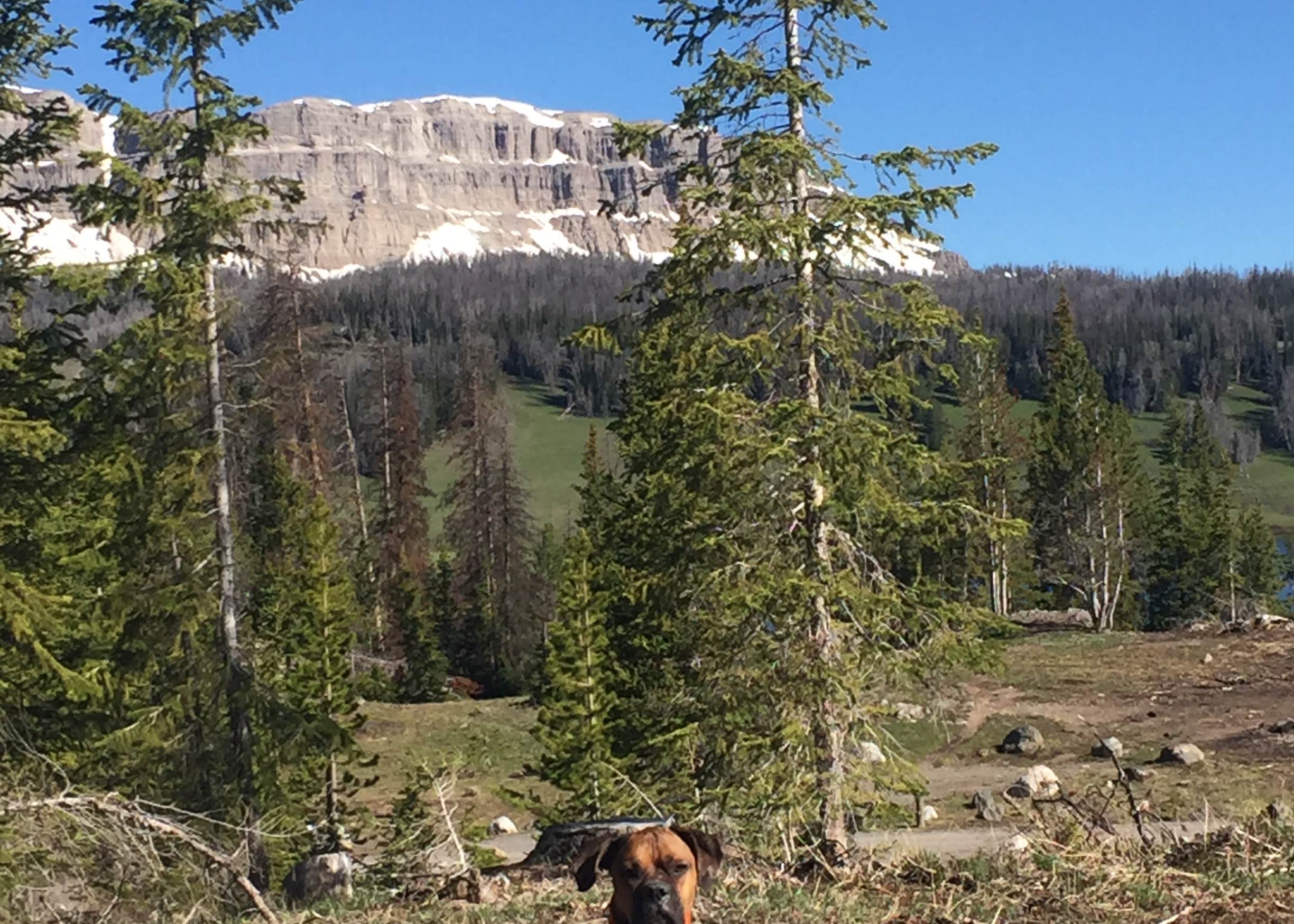 Brooks Lake Campground Camping | The Dyrt