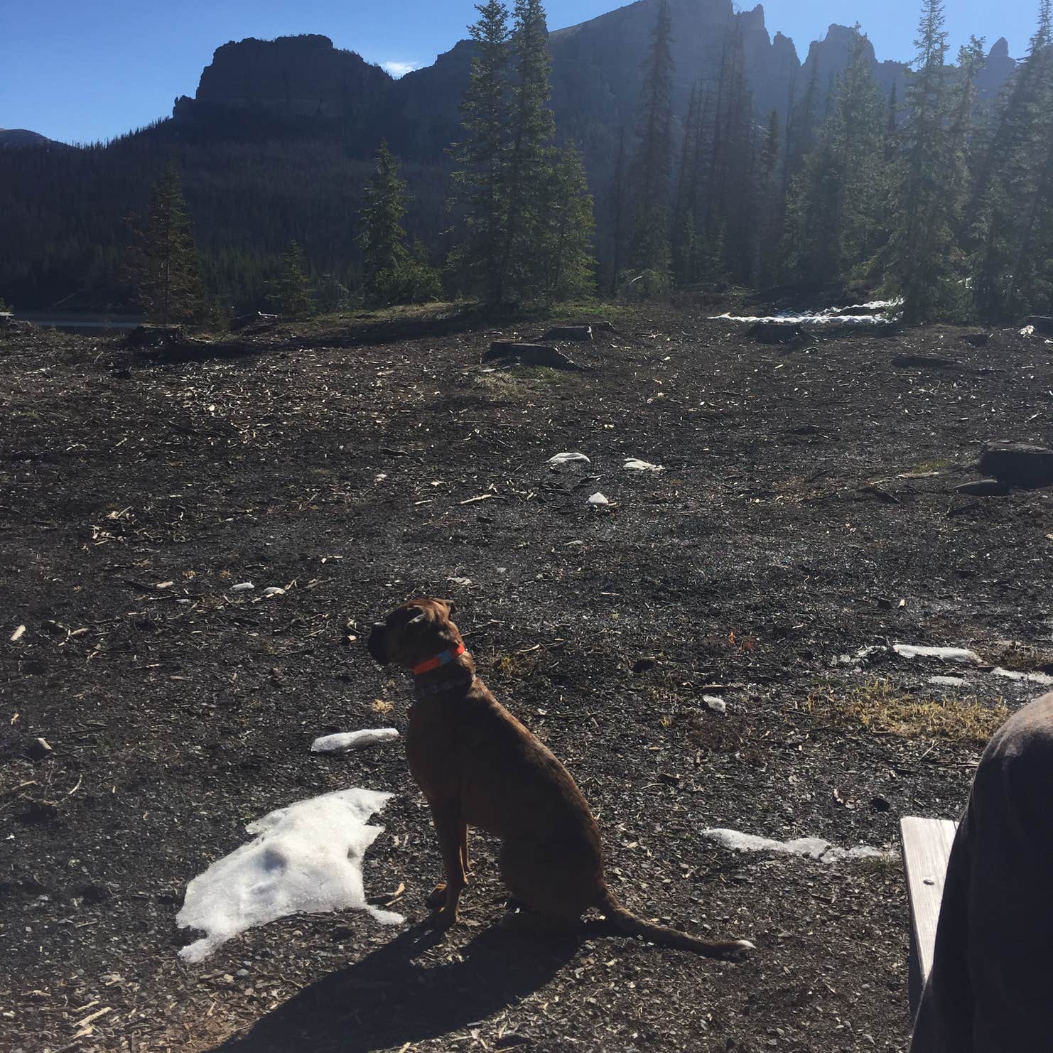 Brooks Lake Campground Camping | The Dyrt