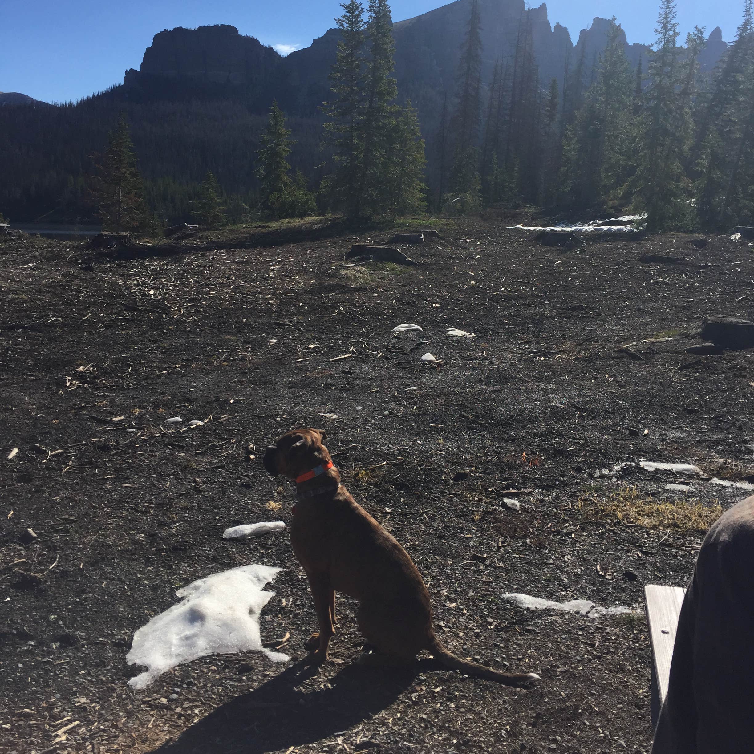 Brooks Lake Campground Camping | The Dyrt