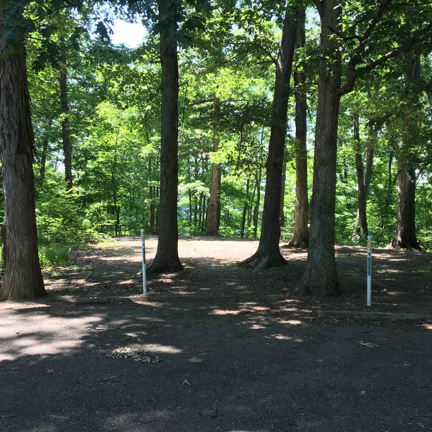 Wolf Run State Park Camping | The Dyrt