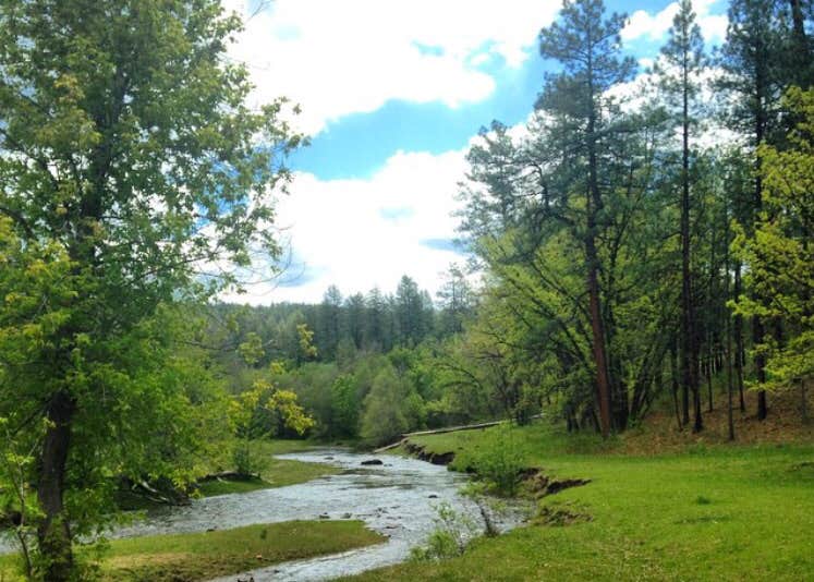 Lower Log Road Apache Indian Res Camping | The Dyrt